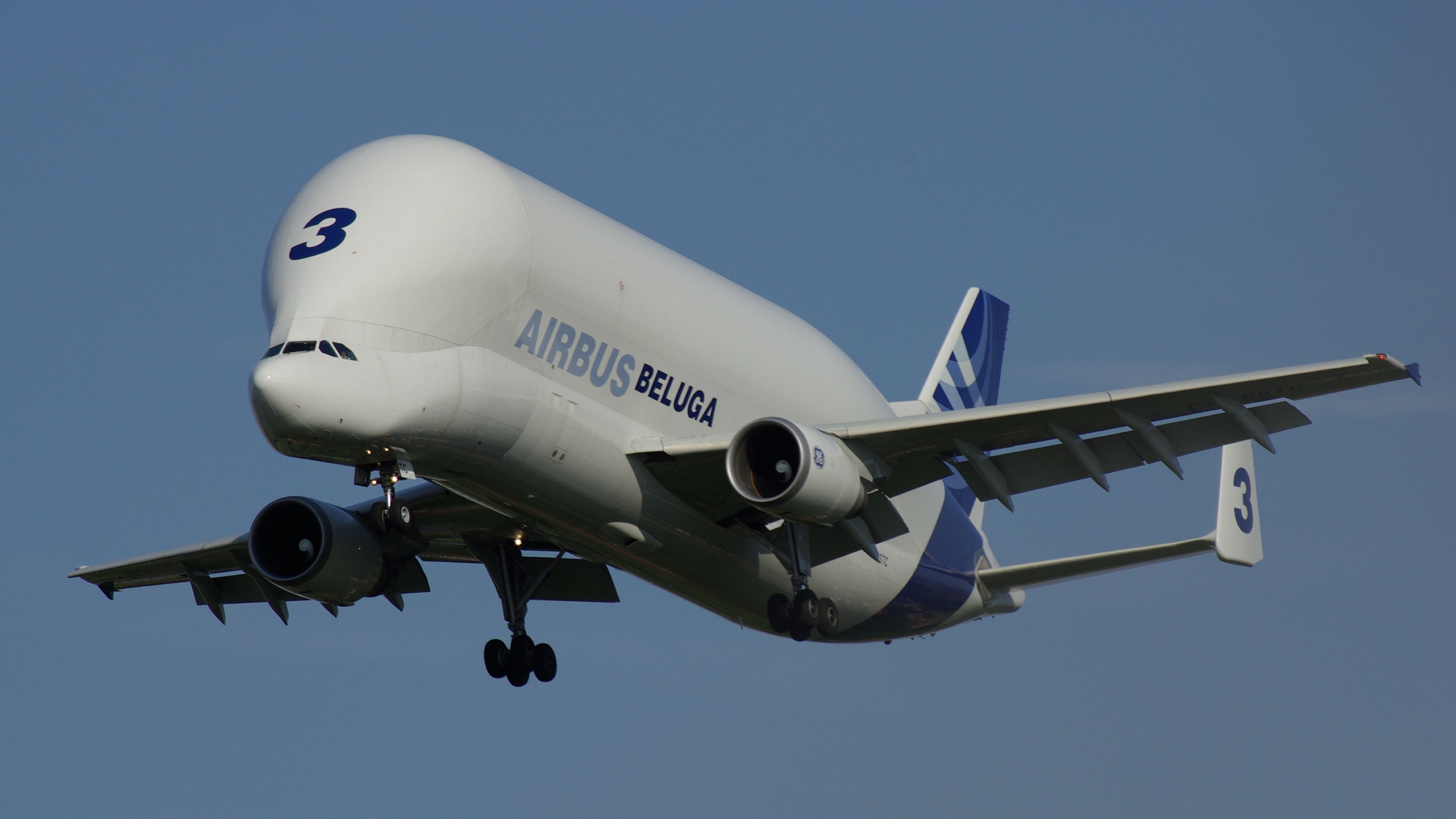 Airbus Beluga Wallpapers - Top Free Airbus Beluga Backgrounds ...