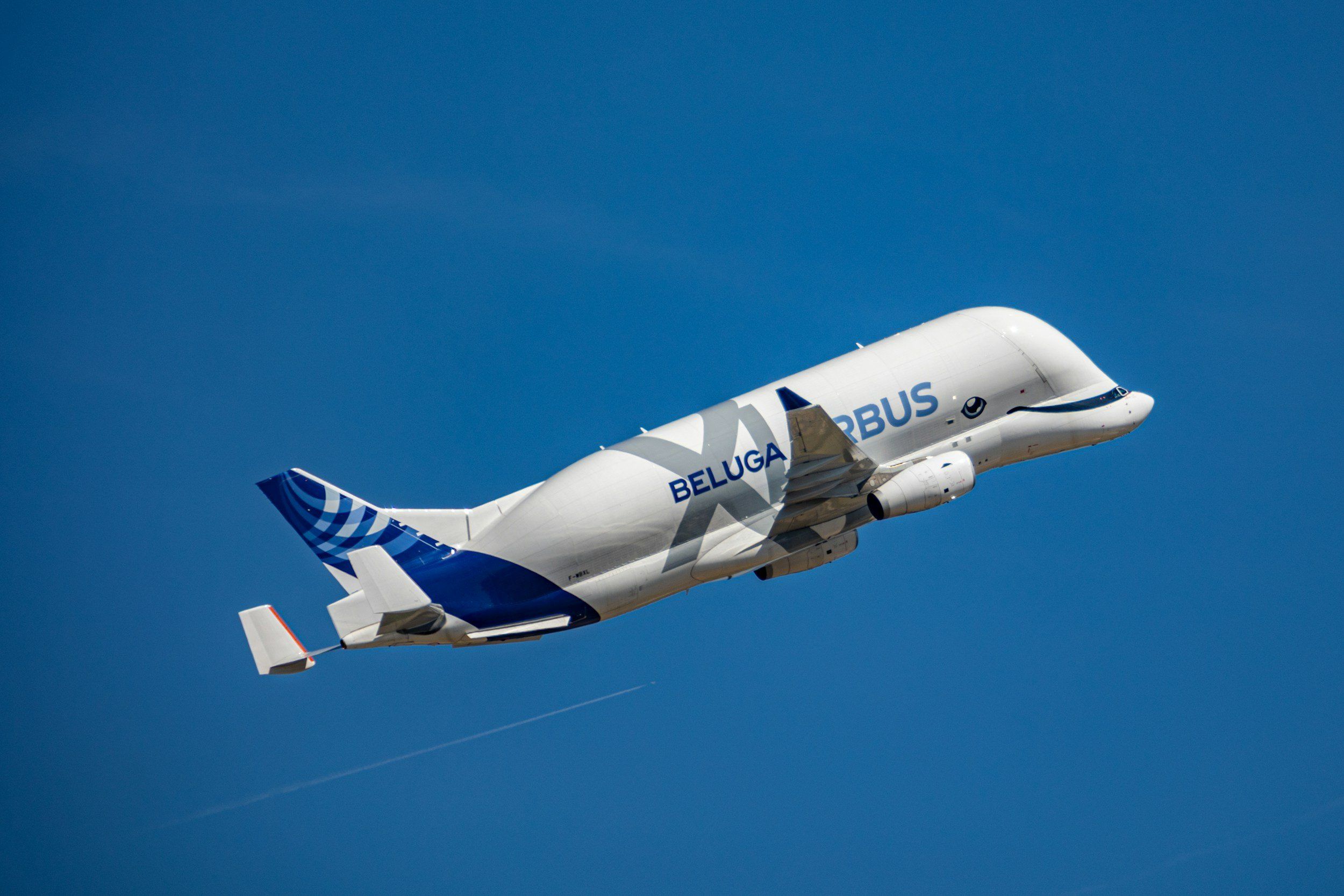 Airbus Beluga Wallpapers - Top Free Airbus Beluga Backgrounds ...