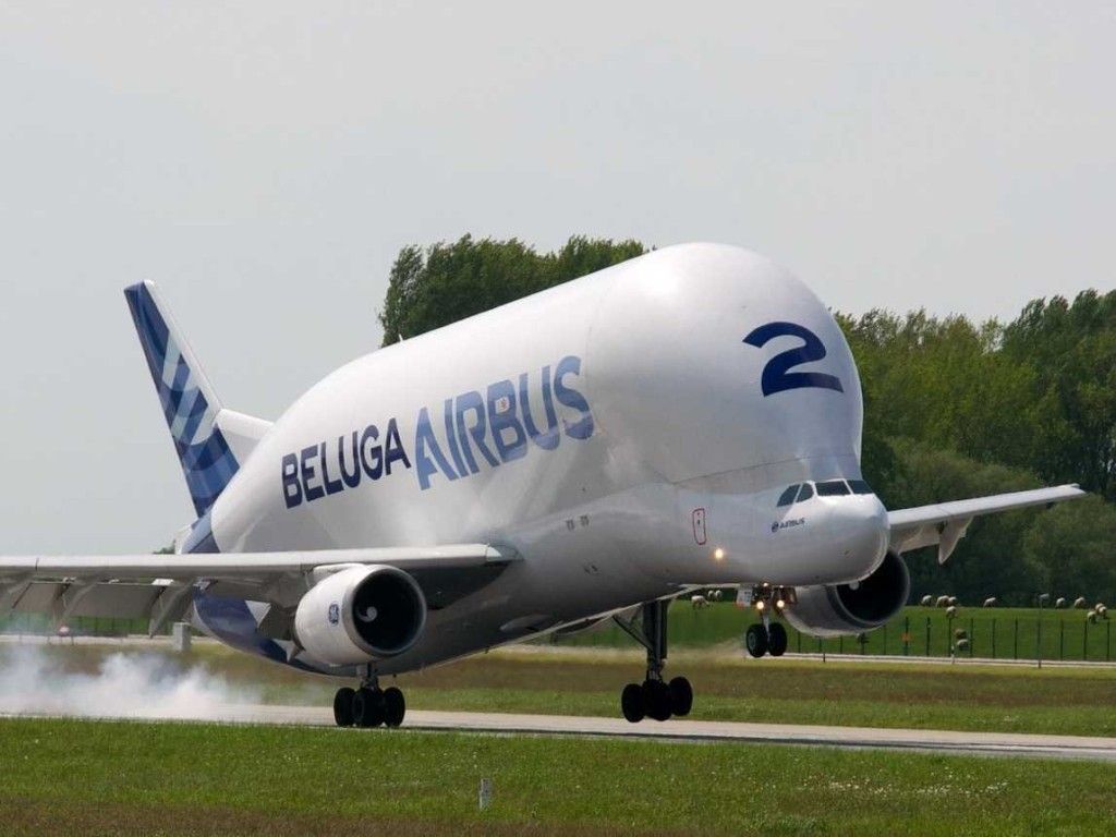 Airbus Beluga Wallpapers - Top Free Airbus Beluga Backgrounds ...
