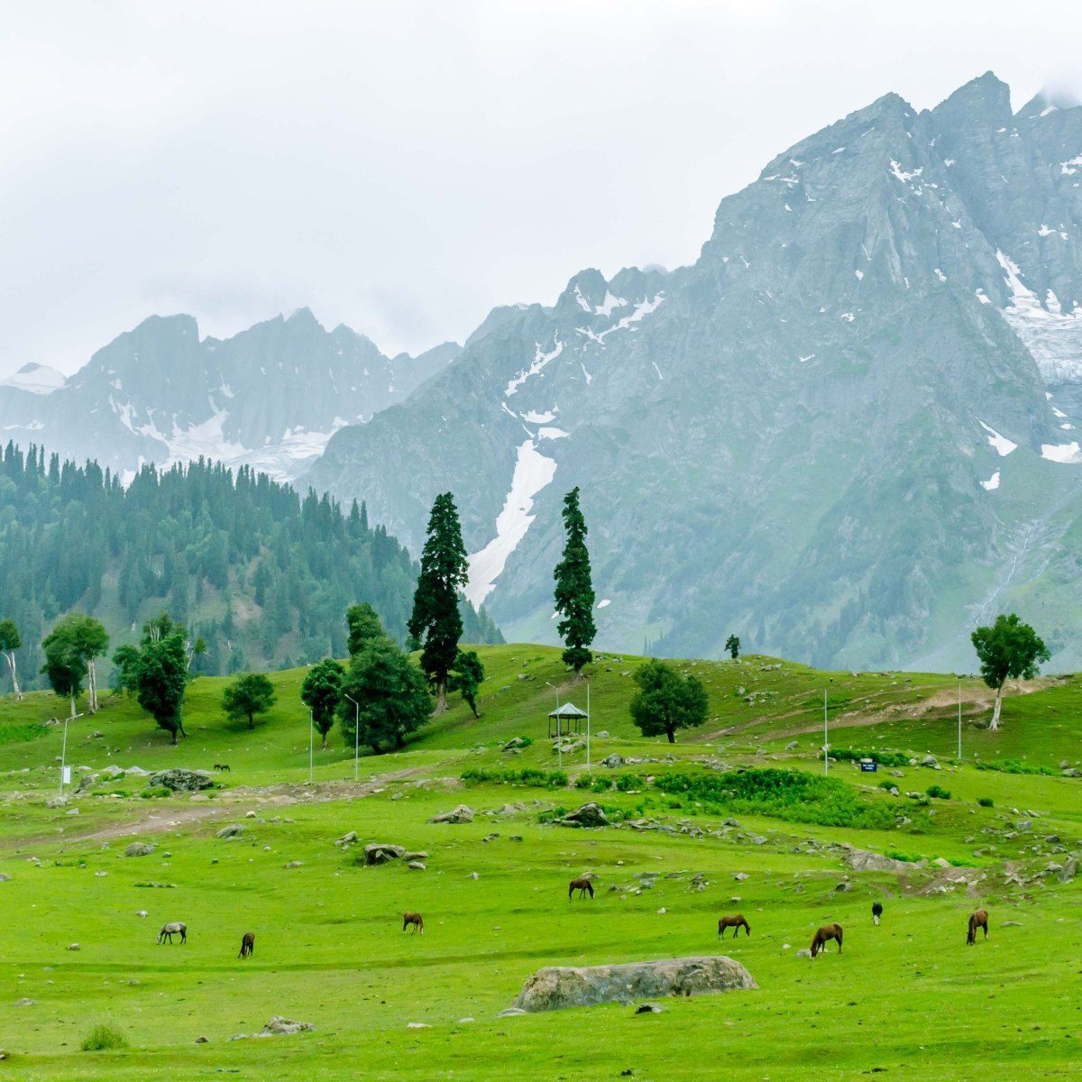 Sonmarg Wallpapers - Top Free Sonmarg Backgrounds - WallpaperAccess