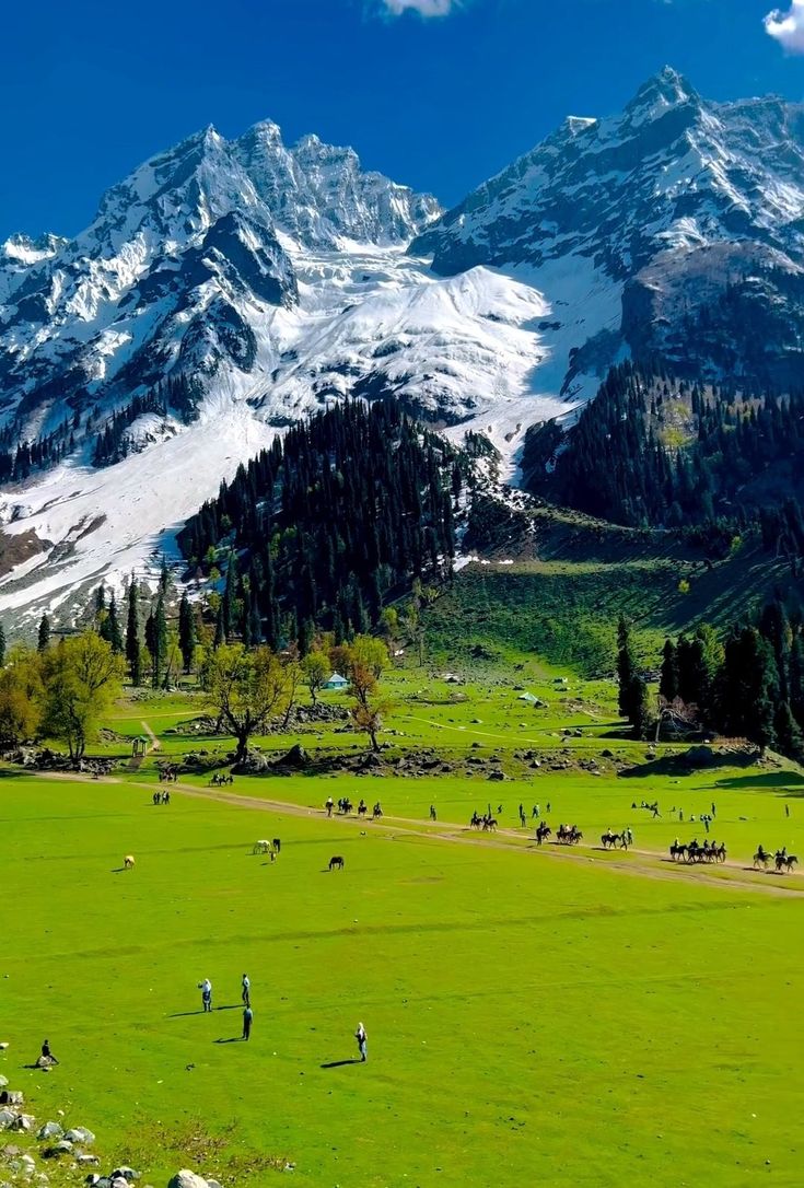 Sonmarg Wallpapers - Top Free Sonmarg Backgrounds - WallpaperAccess