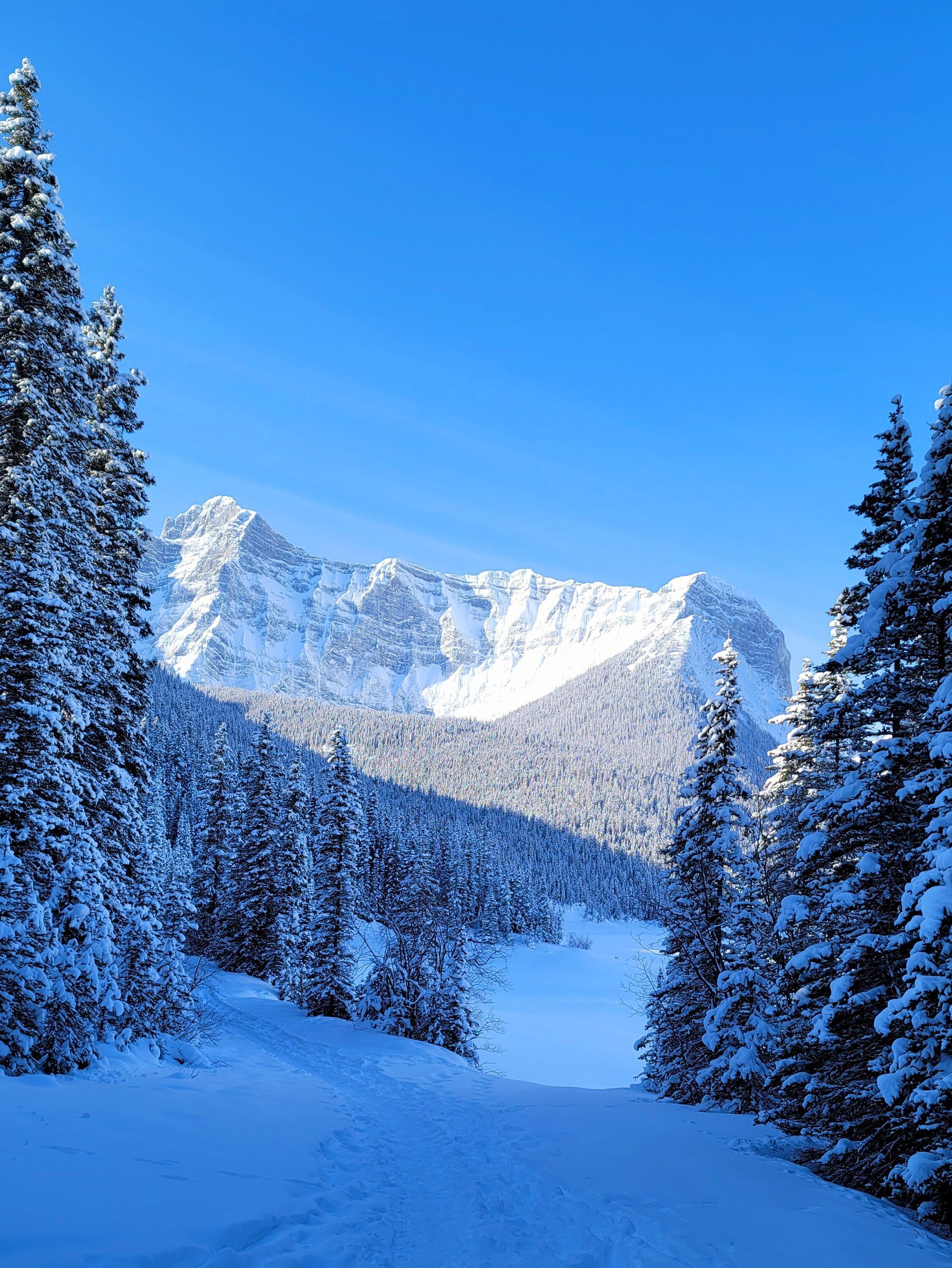 Canadian Winter Wallpapers - Top Free Canadian Winter Backgrounds ...