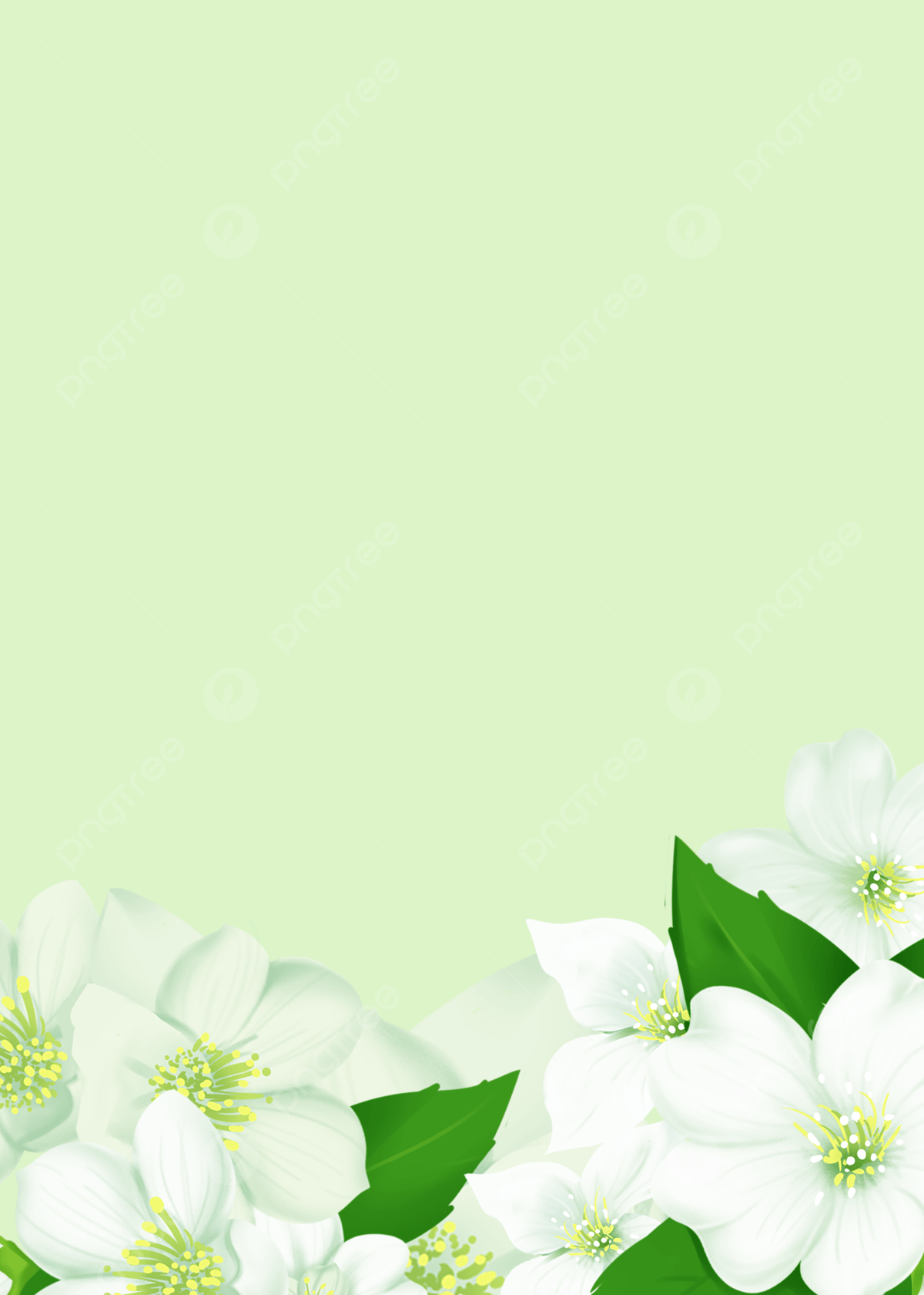 Pastel Green Flowers Wallpapers - Top Free Pastel Green Flowers ...