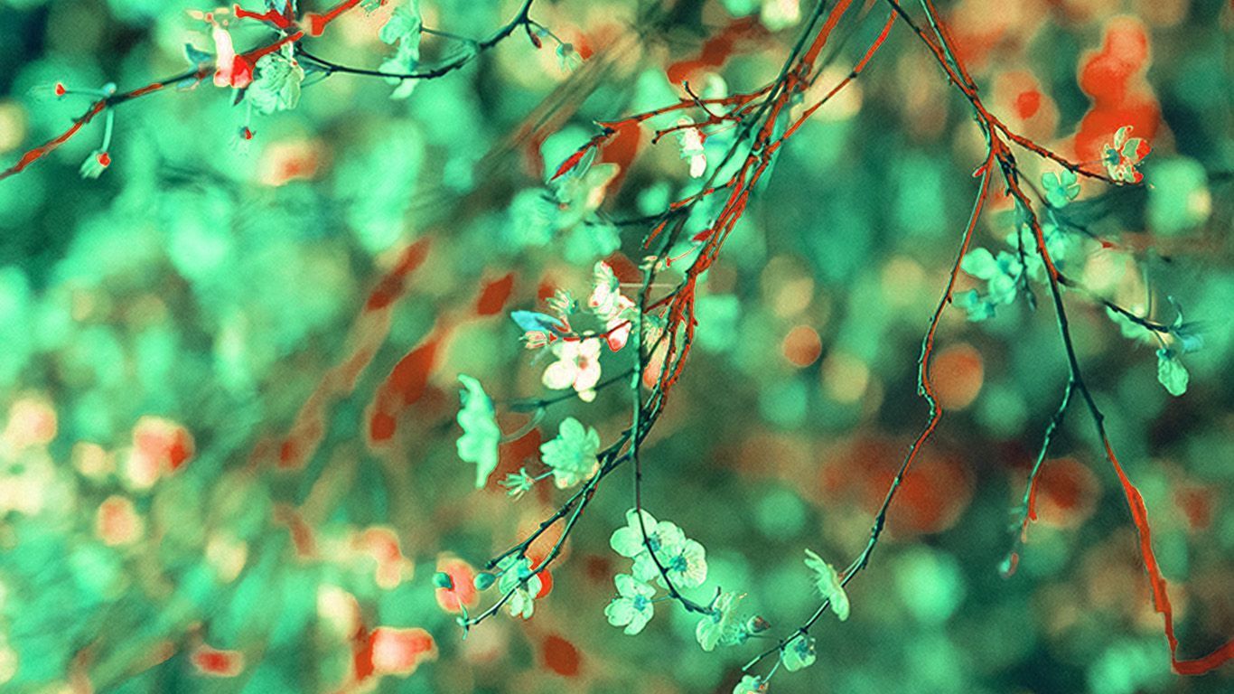 Pastel Green Flowers Wallpapers - Top Free Pastel Green Flowers ...