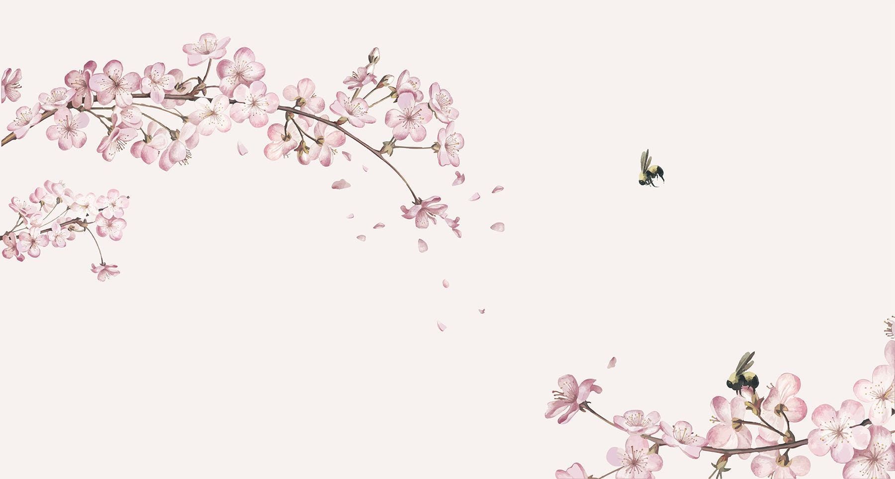 Minimalist Cherry Blossom Wallpapers - Top Free Minimalist Cherry ...