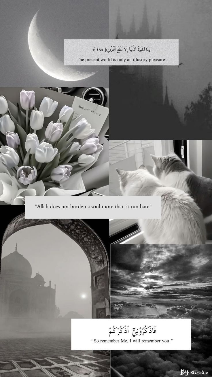 Muslim Aesthetic Wallpapers - Top Free Muslim Aesthetic Backgrounds - WallpaperAccess