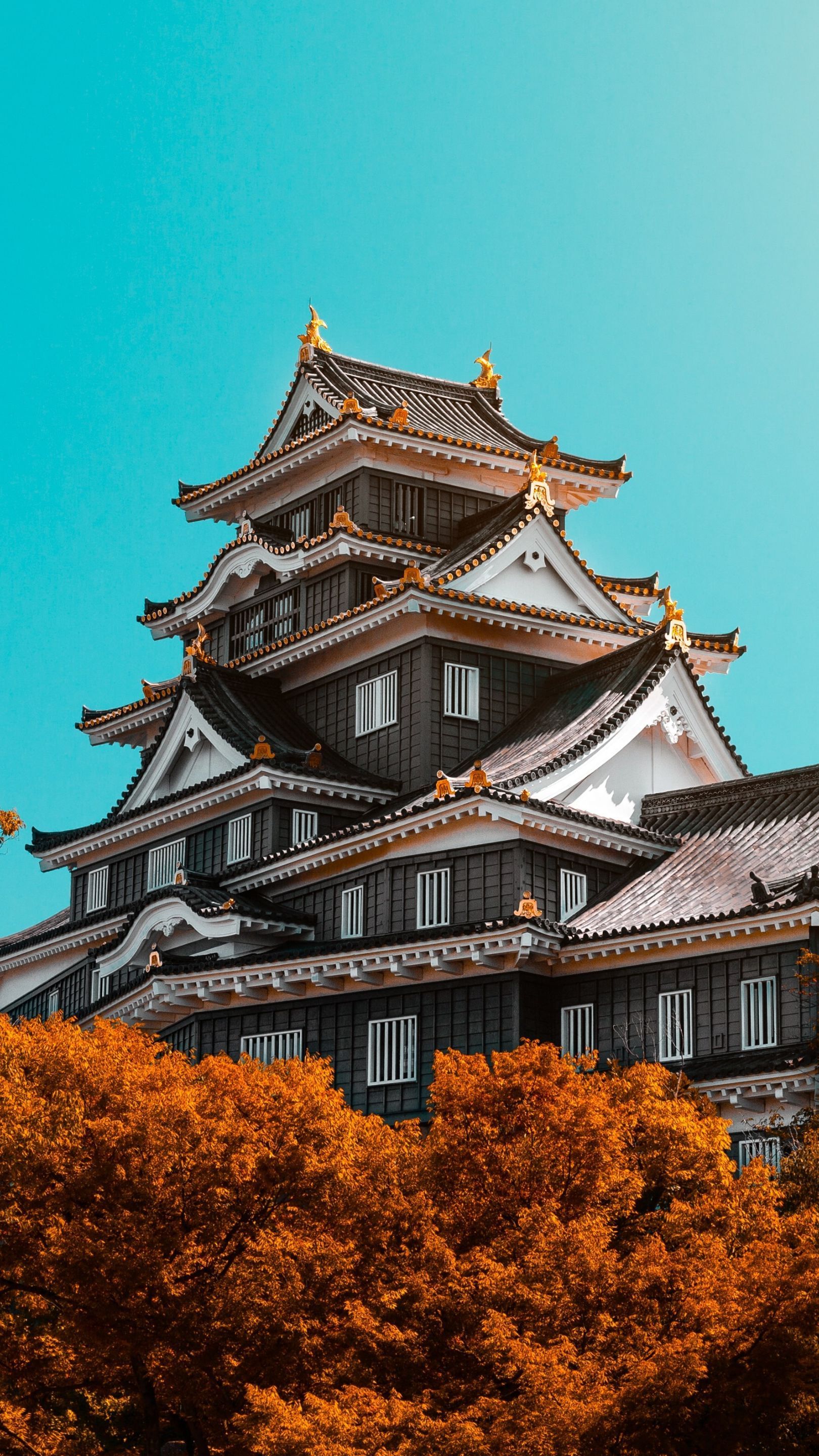 Okayama Wallpapers - Top Free Okayama Backgrounds - WallpaperAccess
