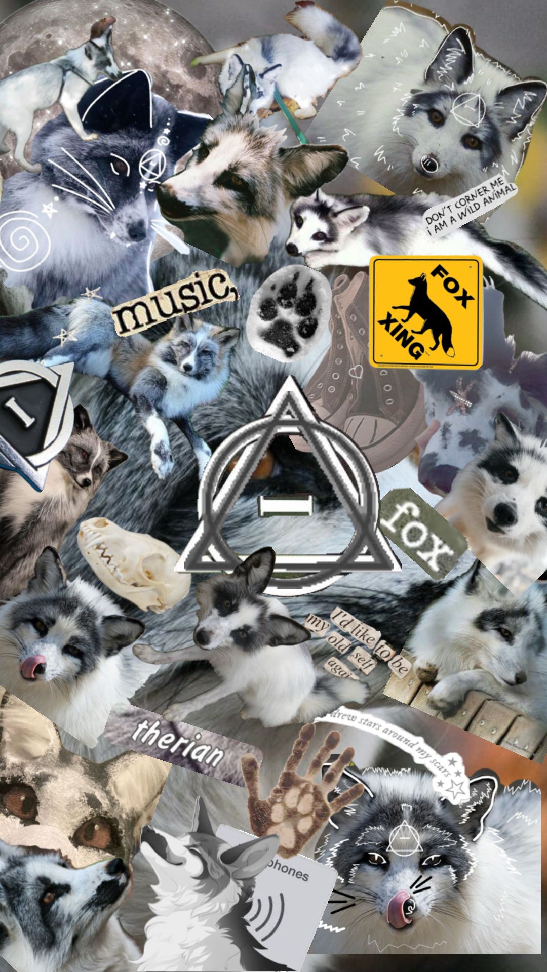 Marble Fox Wallpapers - Top Free Marble Fox Backgrounds - WallpaperAccess