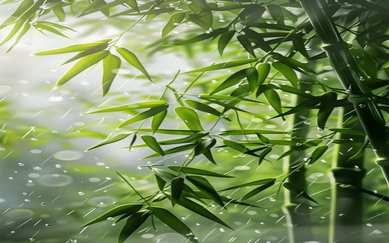 BAMBOO TREE Wallpapers - Top Free BAMBOO TREE Backgrounds - WallpaperAccess