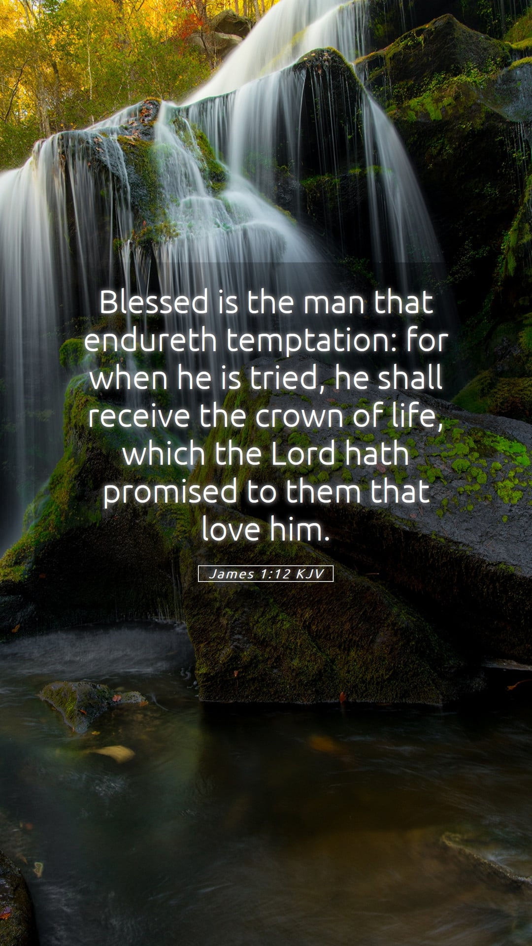 King James Version Wallpapers - Top Free King James Version Backgrounds ...