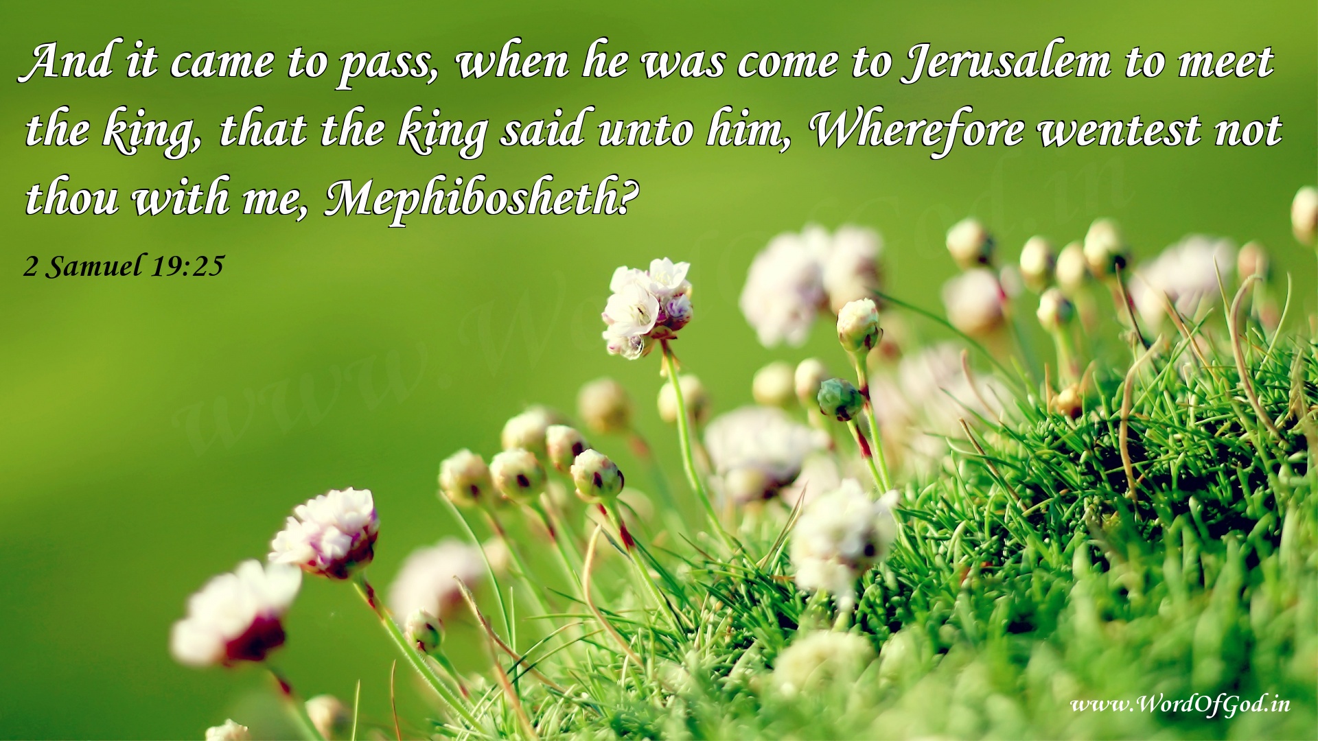 King James Version Wallpapers - Top Free King James Version Backgrounds ...