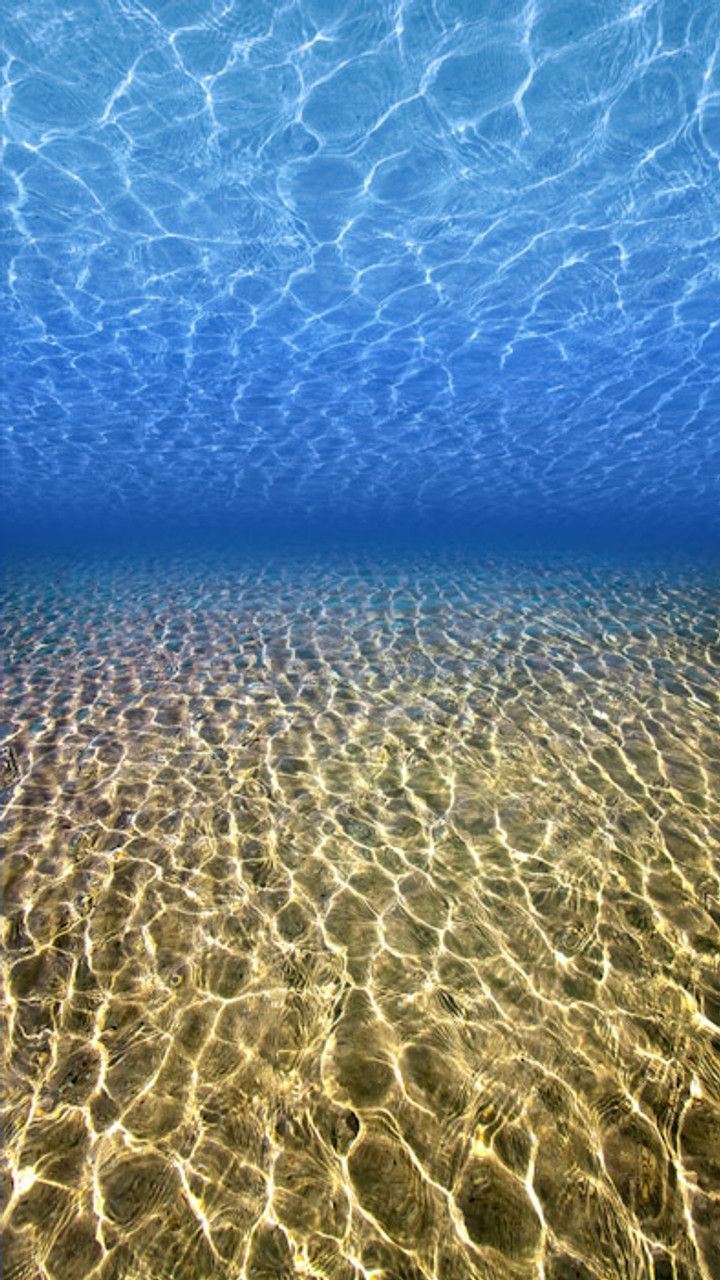 Bottom of The Sea Wallpapers - Top Free Bottom of The Sea Backgrounds ...