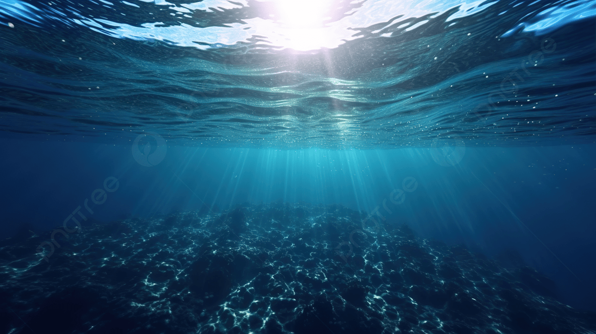 Bottom of The Sea Wallpapers - Top Free Bottom of The Sea Backgrounds ...