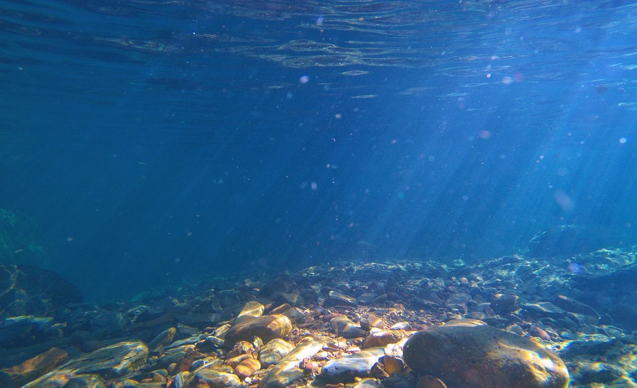 Bottom of The Sea Wallpapers - Top Free Bottom of The Sea Backgrounds ...