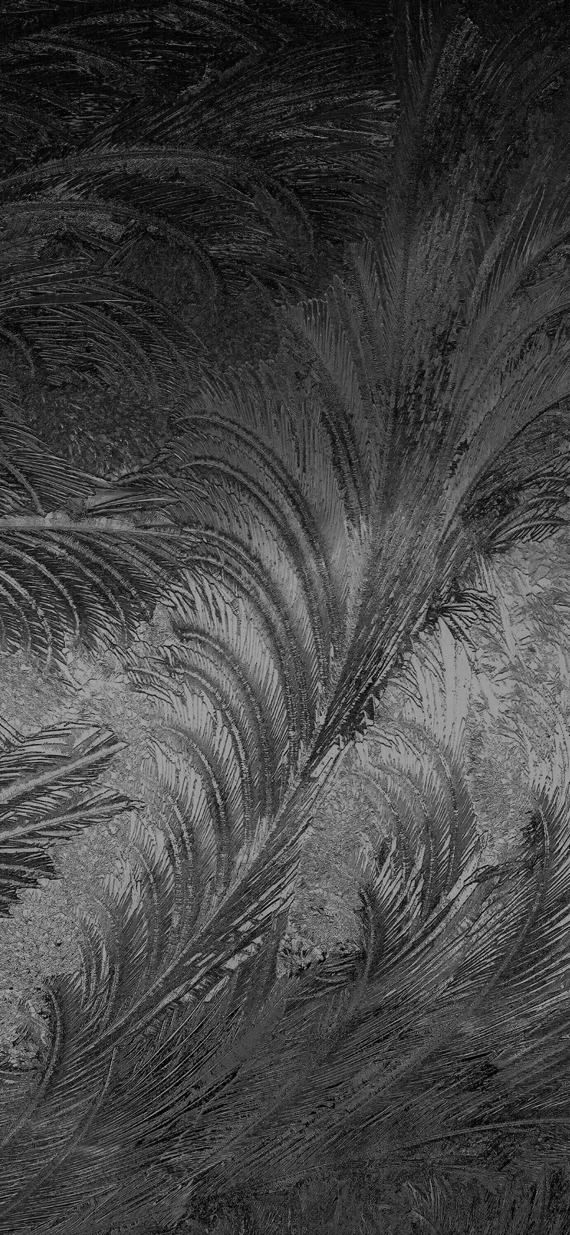 Winter Arc Wallpapers - Top Free Winter Arc Backgrounds - WallpaperAccess