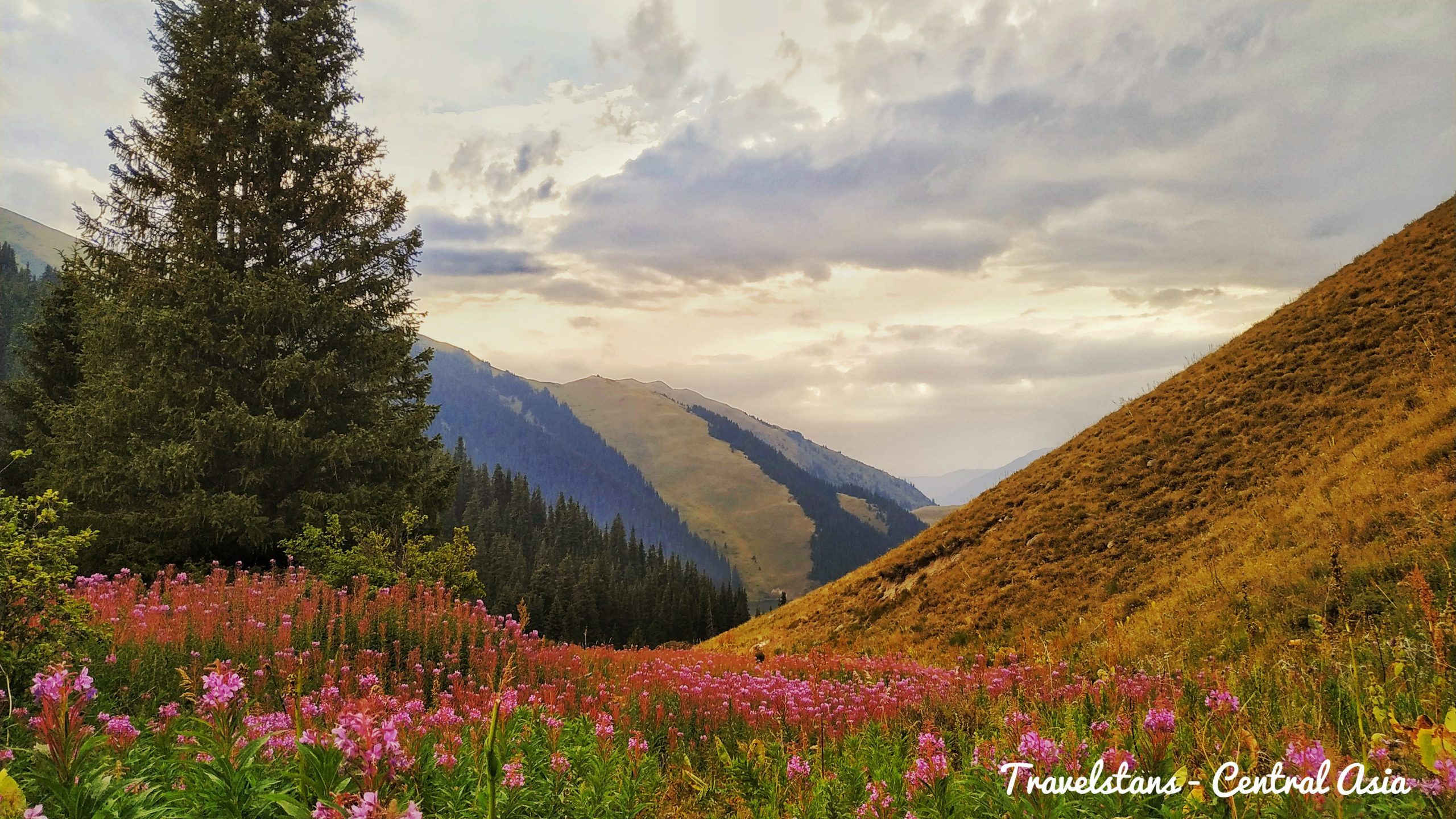 Central Asia Wallpapers - Top Free Central Asia Backgrounds ...