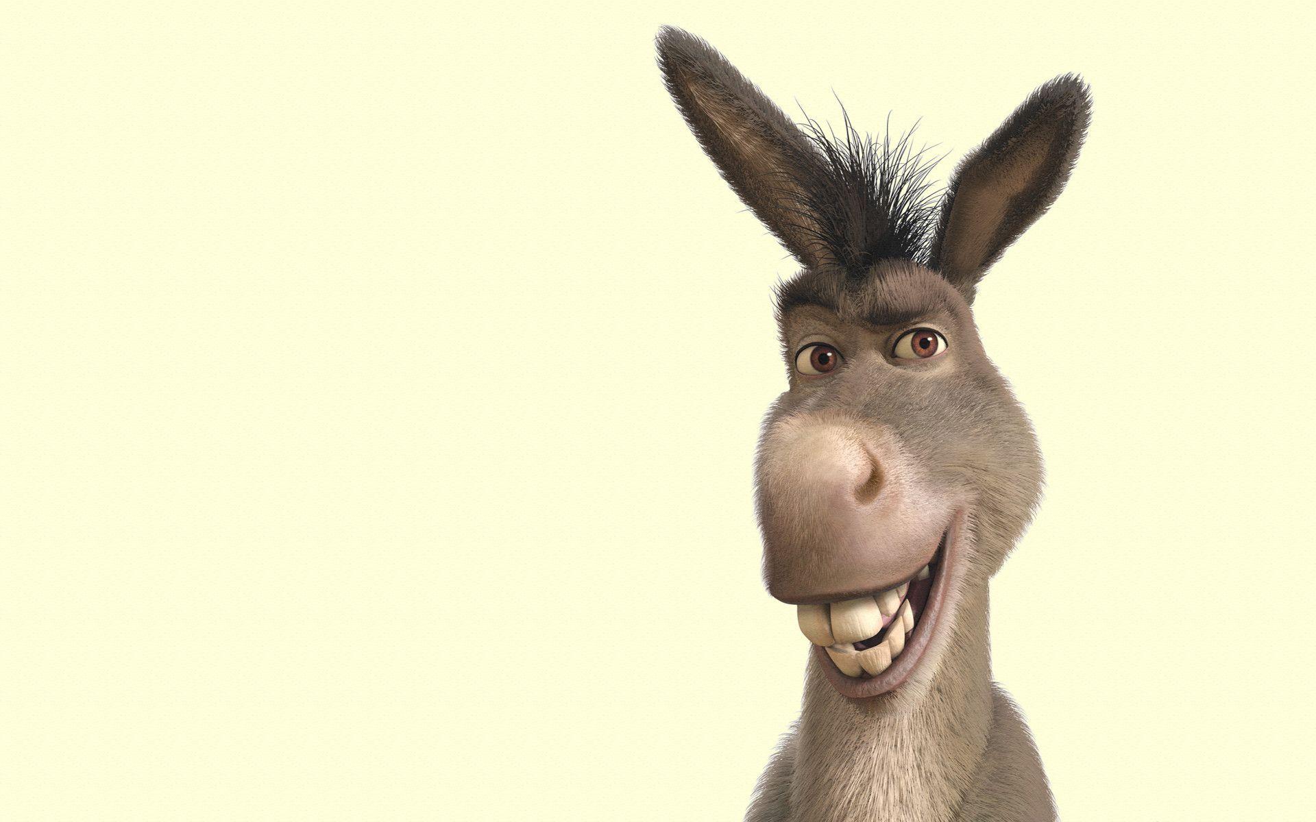 Donkey Desktop Wallpapers - Top Free Donkey Desktop Backgrounds ...