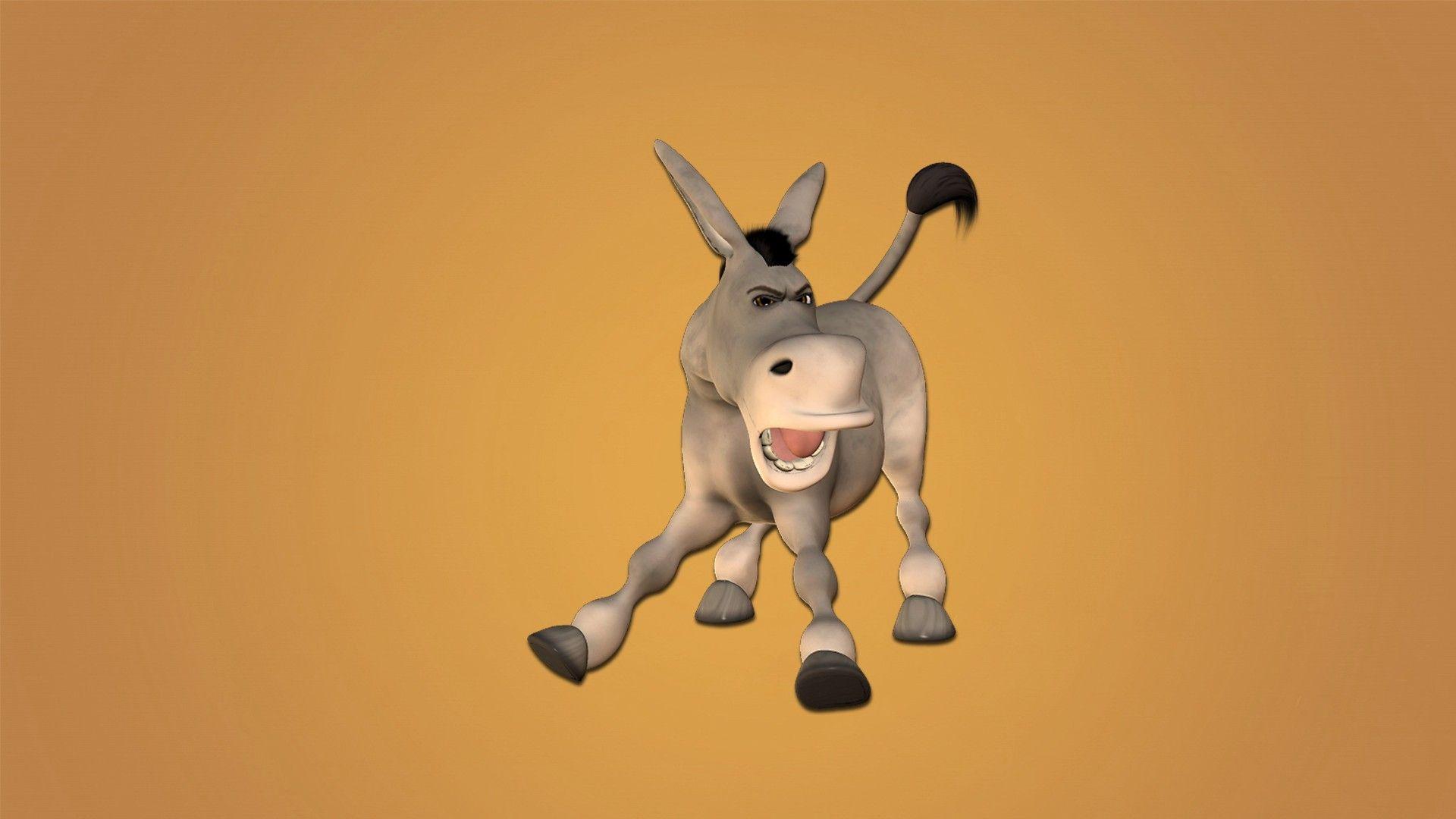 Donkey Desktop Wallpapers - Top Free Donkey Desktop Backgrounds ...
