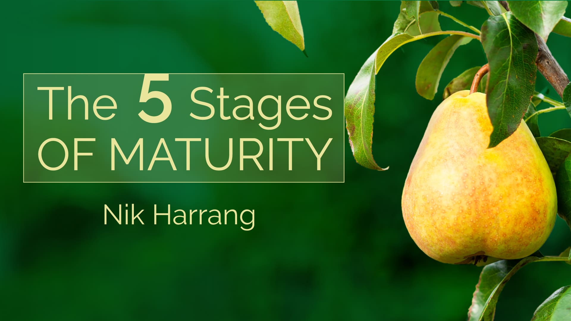 Maturity Wallpapers - Top Free Maturity Backgrounds - WallpaperAccess