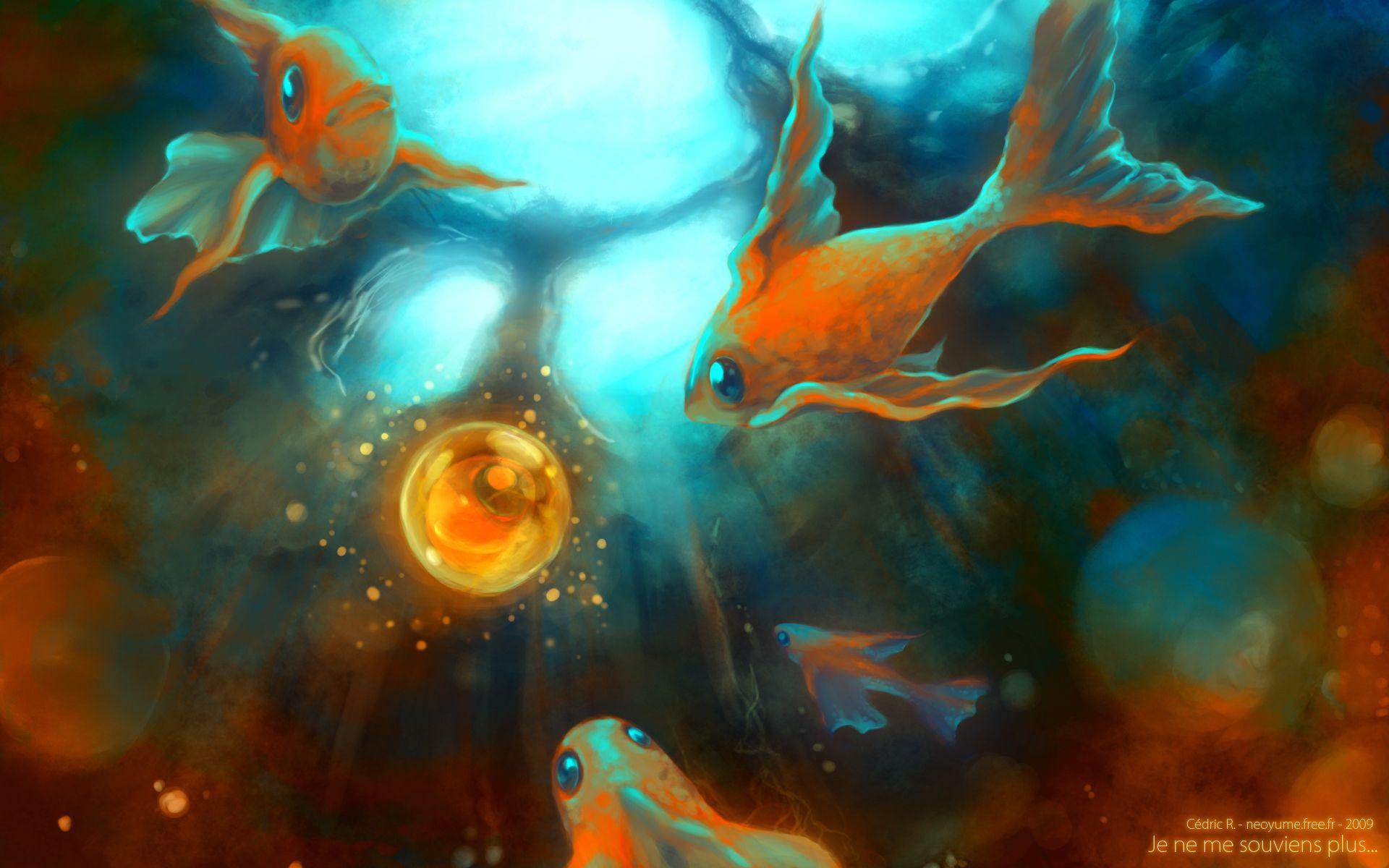 Goldfish Desktop Wallpapers - Top Free Goldfish Desktop Backgrounds ...