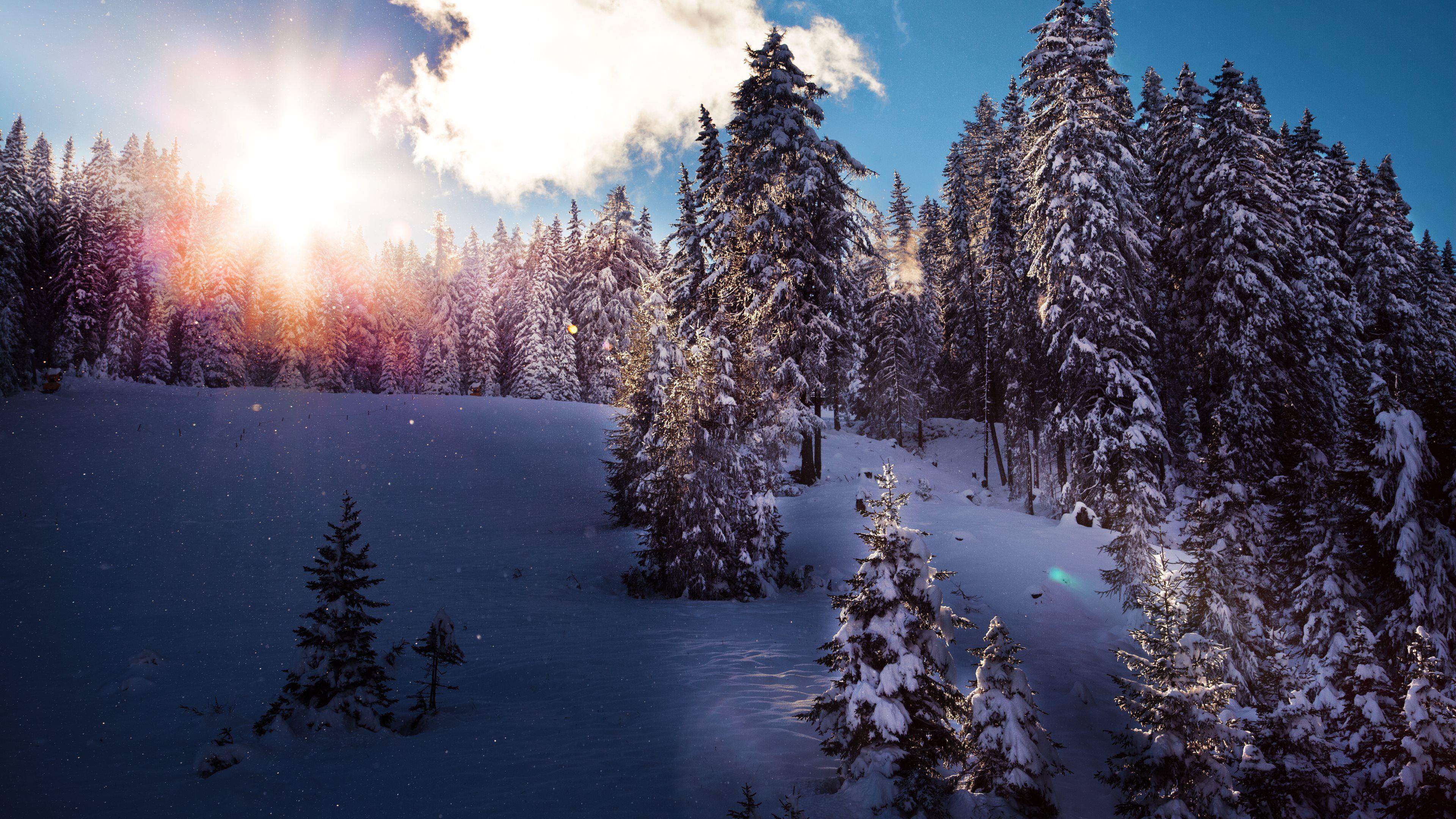 Amazing 4K Winter Wallpapers - Top Free Amazing 4K Winter Backgrounds ...