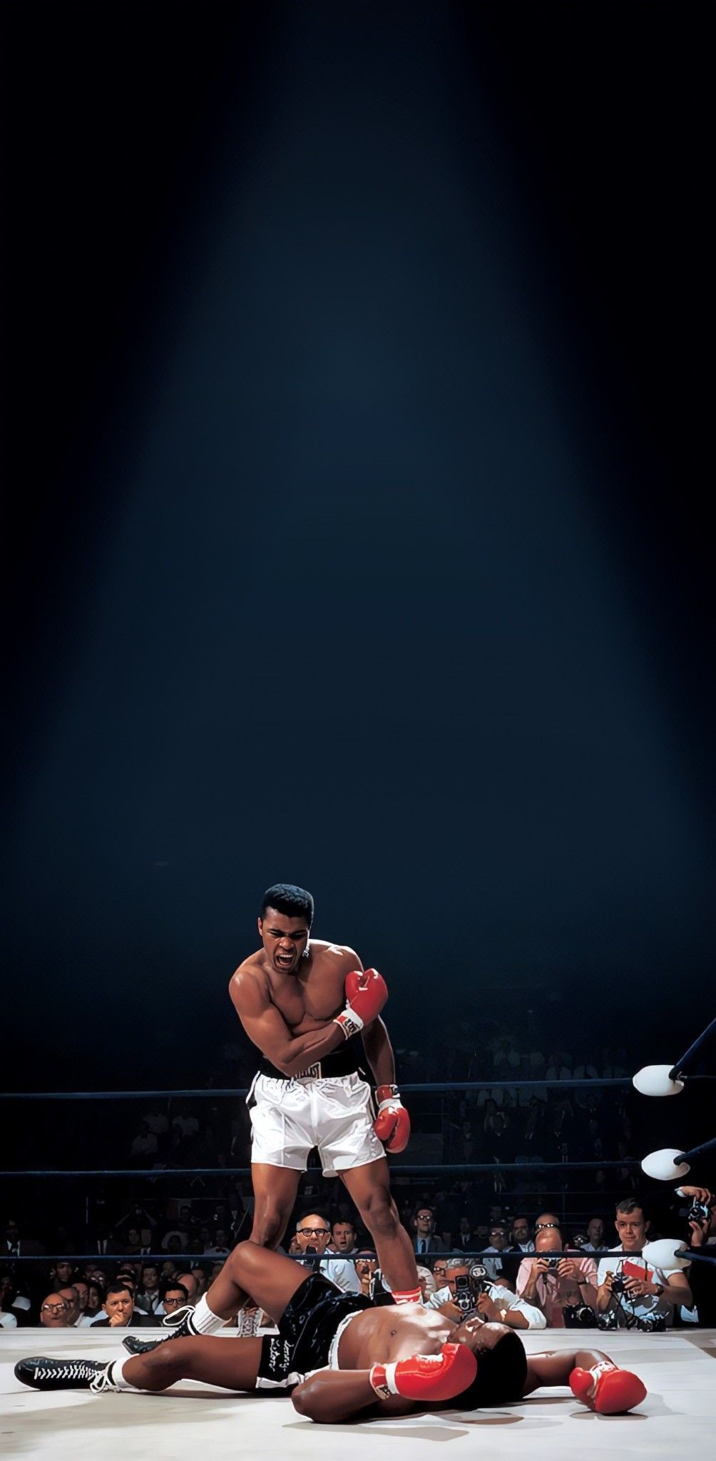 Ali Boxing Wallpapers - Top Free Ali Boxing Backgrounds - WallpaperAccess