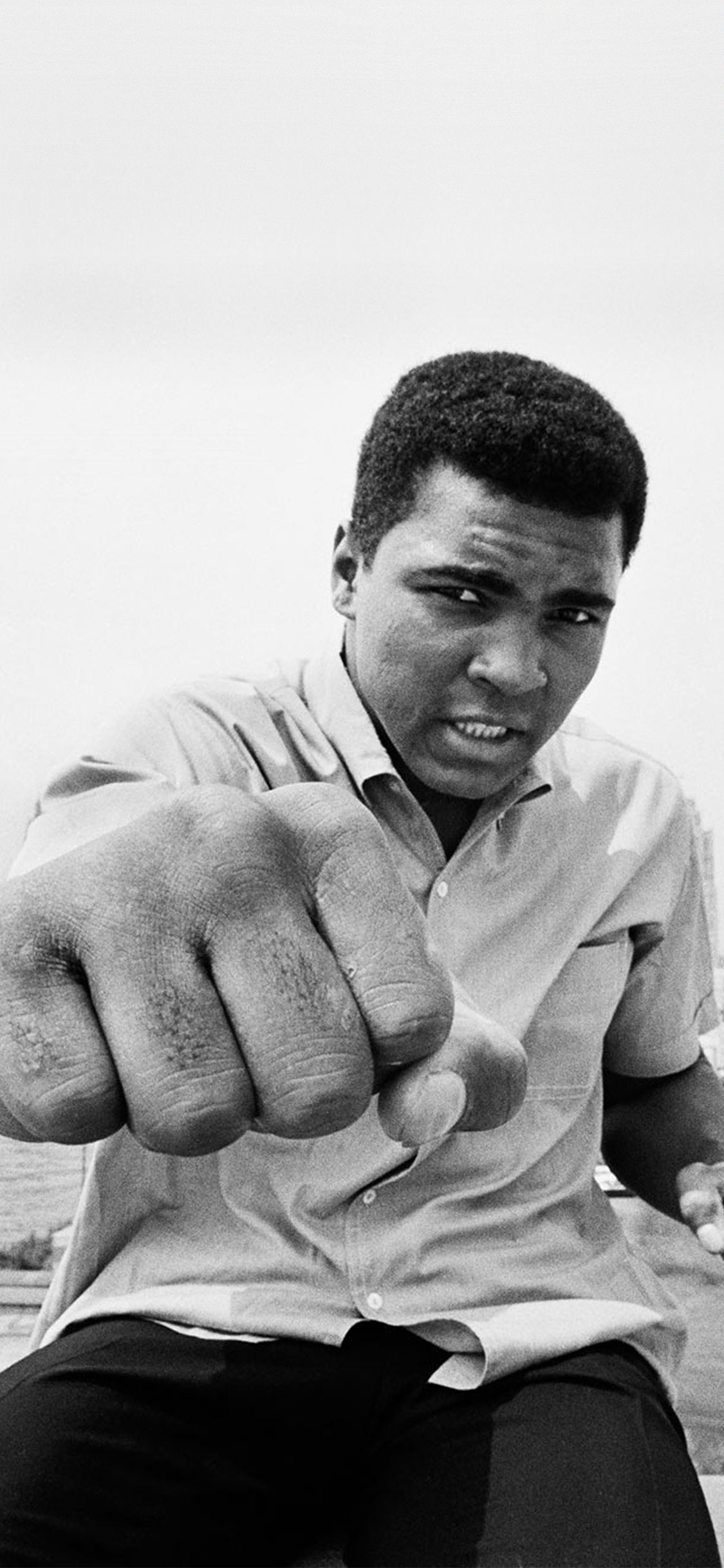 Ali Boxing Wallpapers - Top Free Ali Boxing Backgrounds - WallpaperAccess