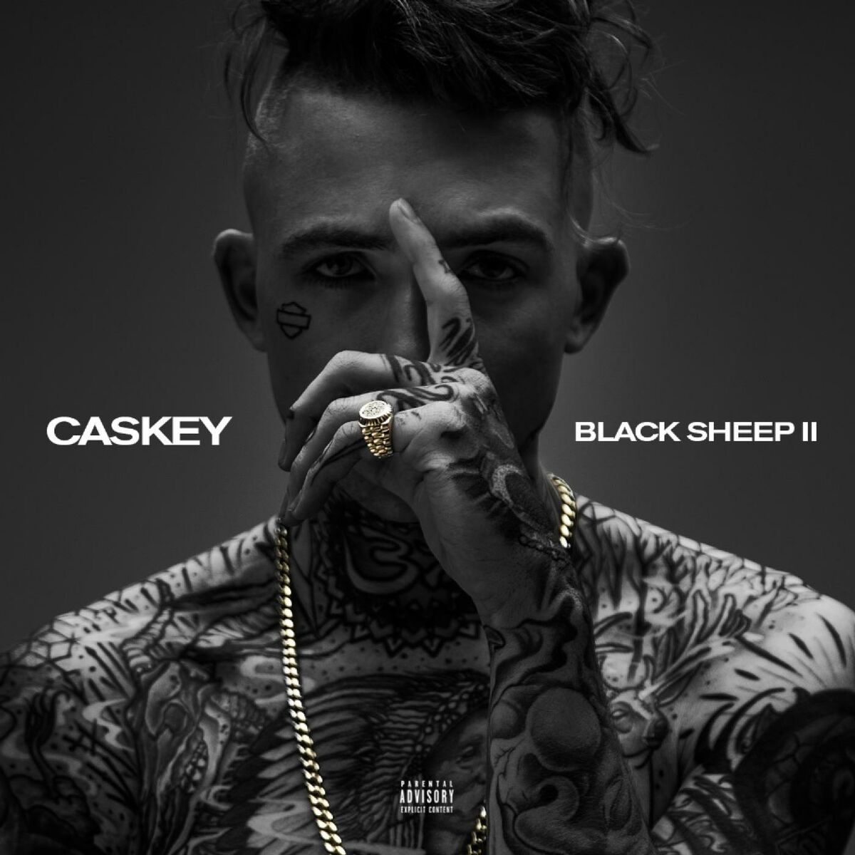 Caskey Wallpapers - Top Free Caskey Backgrounds - WallpaperAccess