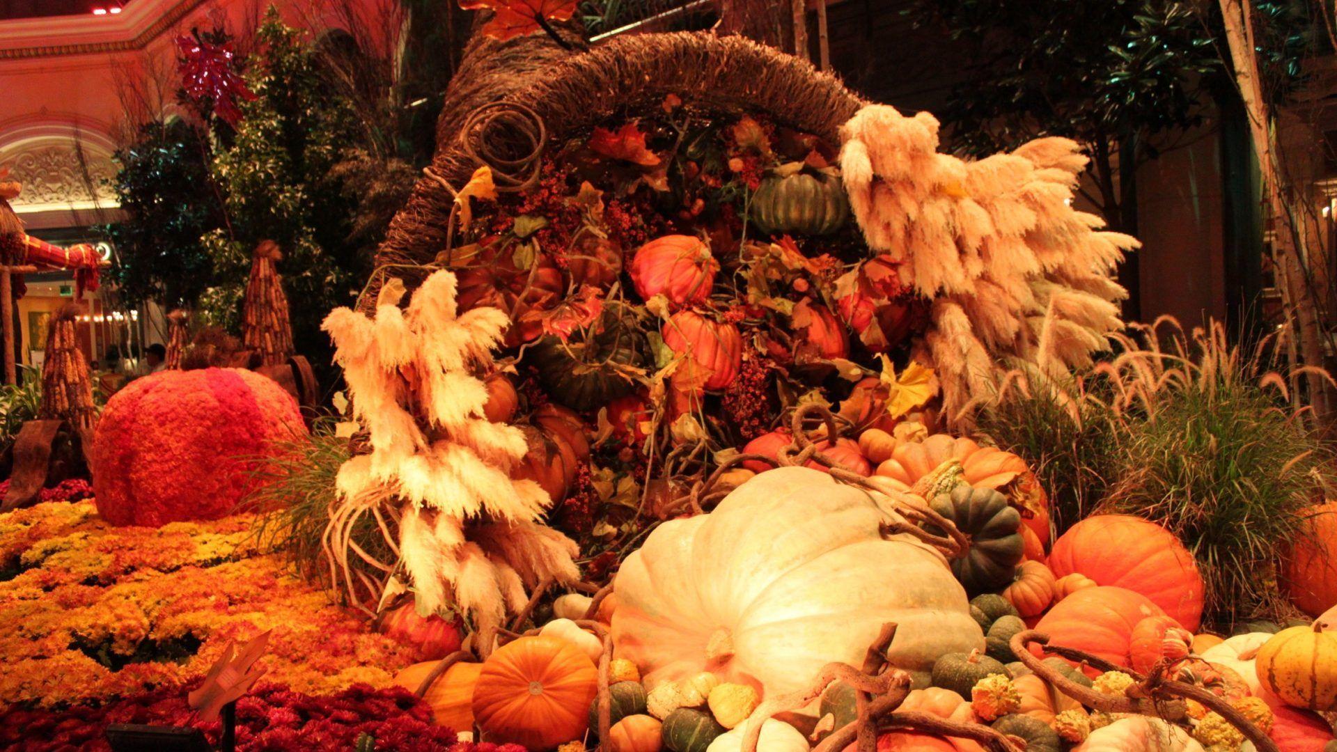 Ultra HD Thanksgiving Wallpapers - Top Free Ultra HD Thanksgiving Backgrounds - WallpaperAccess