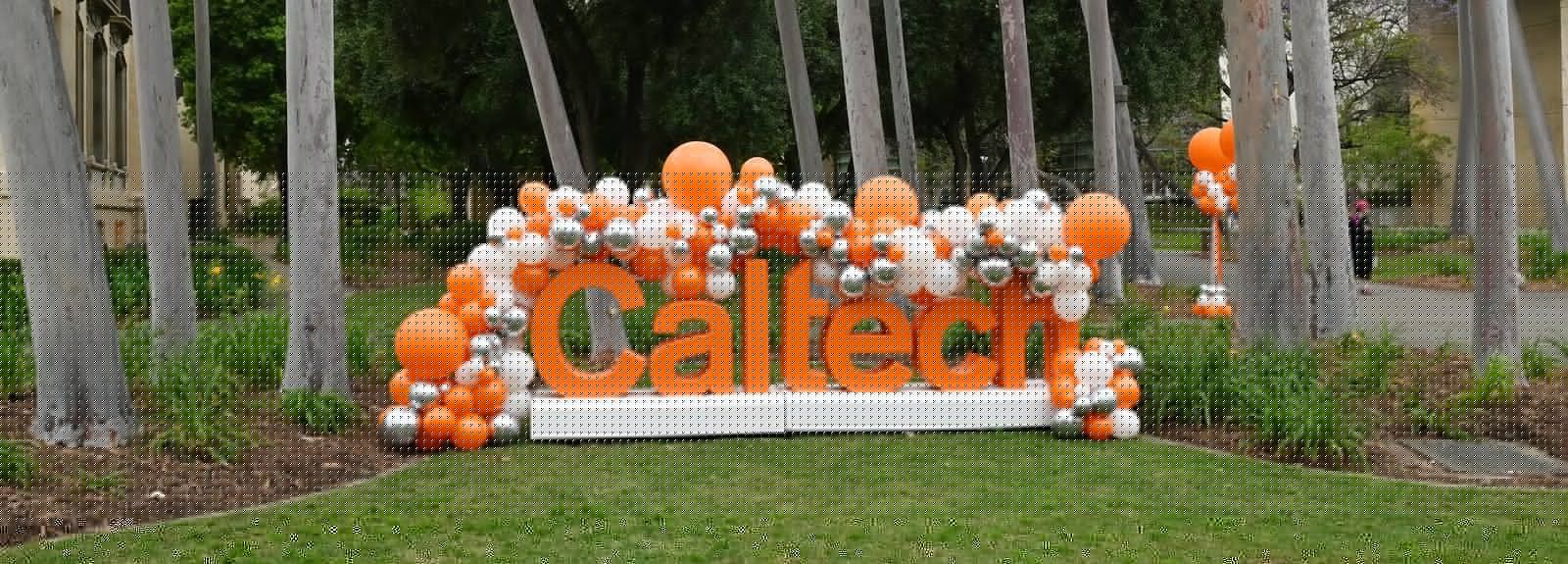 Caltech Wallpapers - Top Free Caltech Backgrounds - WallpaperAccess