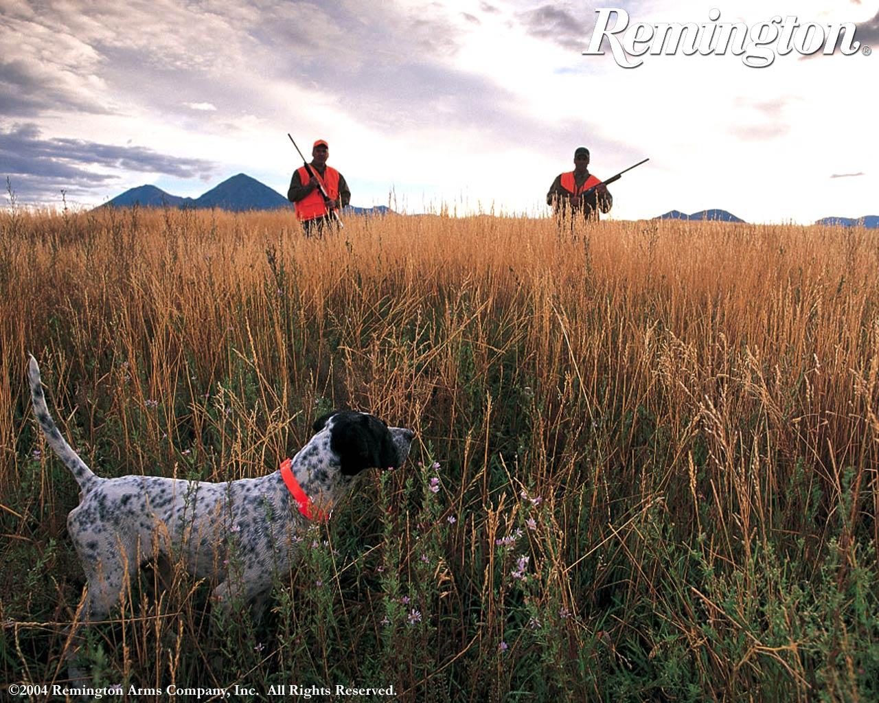 Remington Logo Wallpapers - Top Free Remington Logo Backgrounds ...