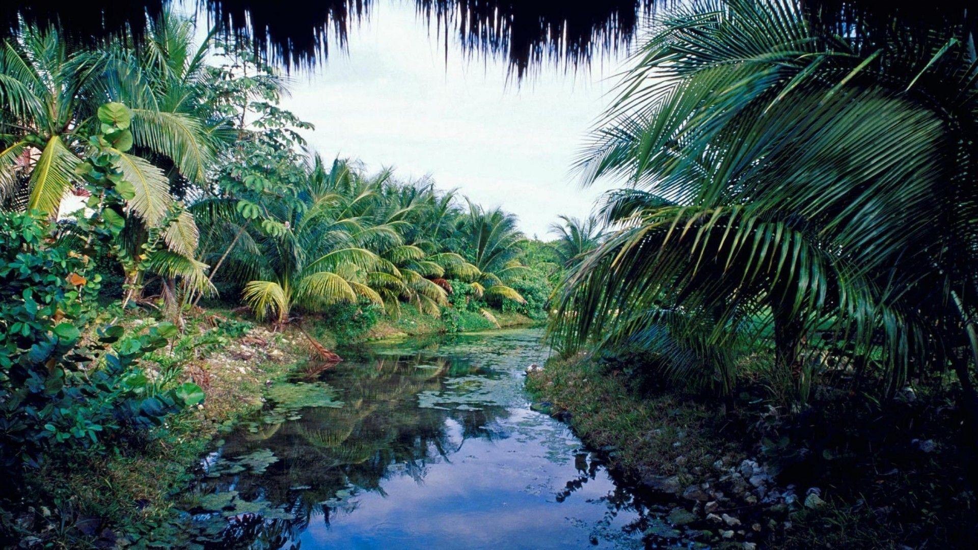 Mexico Landscape Wallpapers - Top Free Mexico Landscape Backgrounds ...