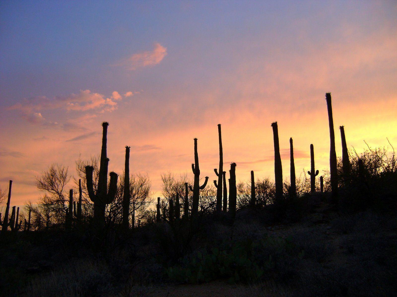 Sunset New Mexico Wallpapers - Top Free Sunset New Mexico Backgrounds ...