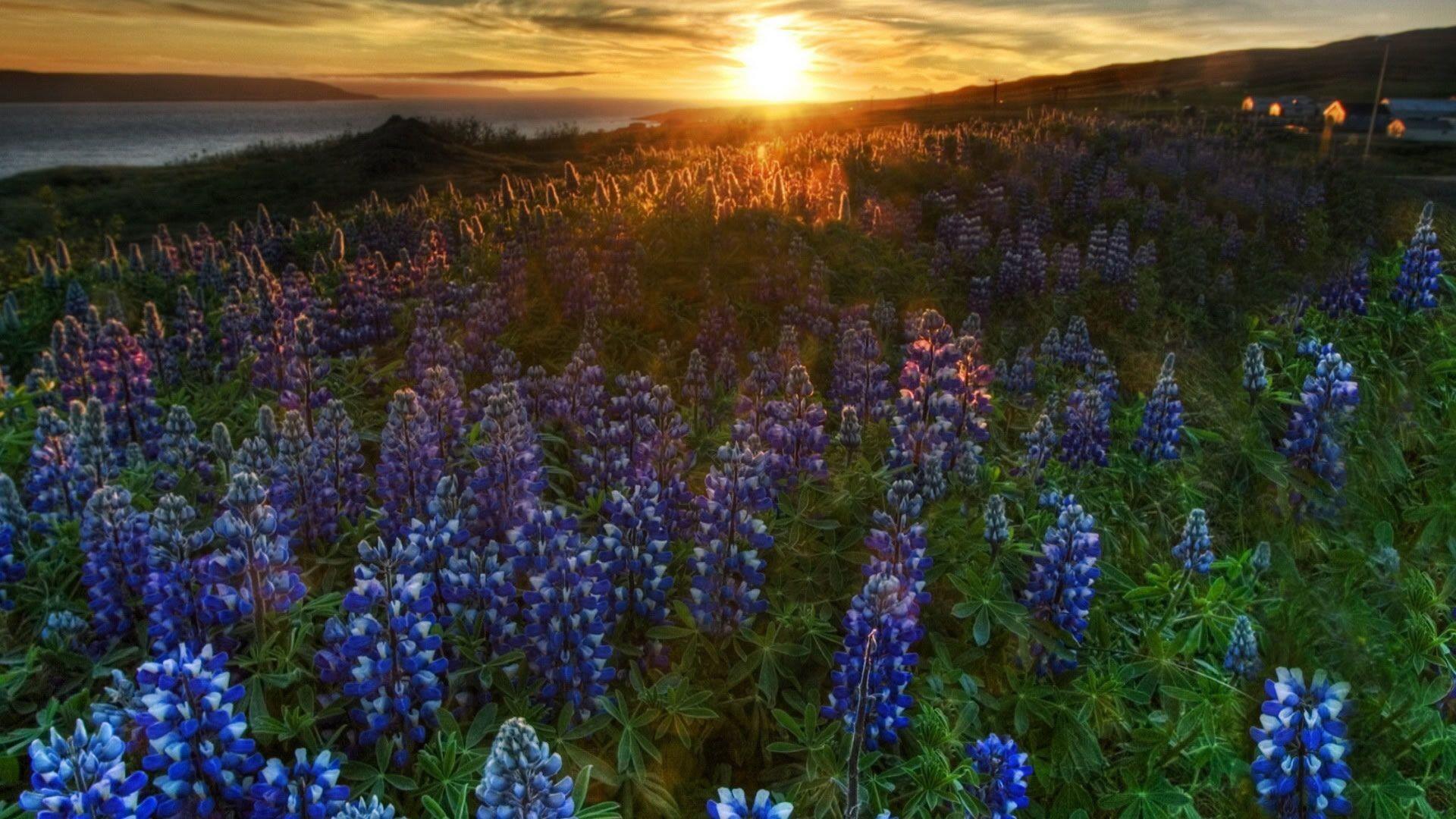 Texas Scenery Wallpapers - Top Free Texas Scenery Backgrounds ...