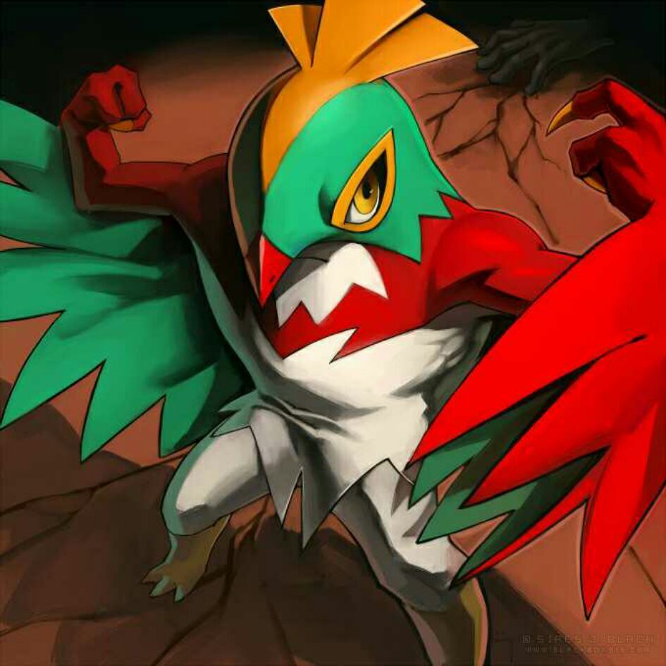 Hawlucha Wallpapers - Top Free Hawlucha Backgrounds - WallpaperAccess