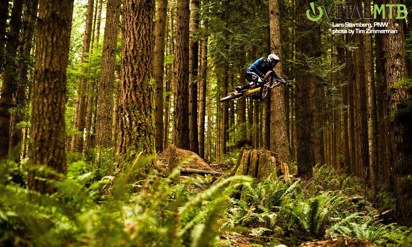 MTB Phone Wallpapers - Top Free MTB Phone Backgrounds - WallpaperAccess