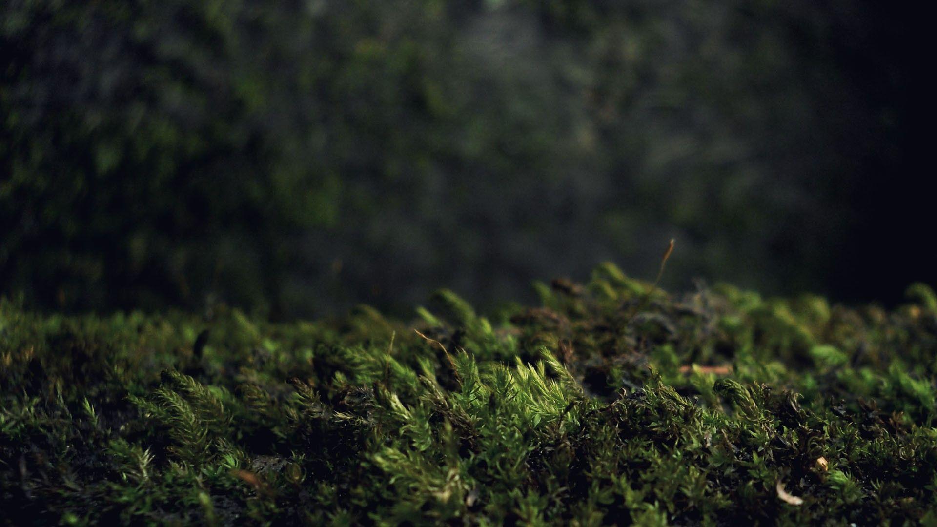 Dark Landscape Wallpapers - Top Free Dark Landscape Backgrounds ...