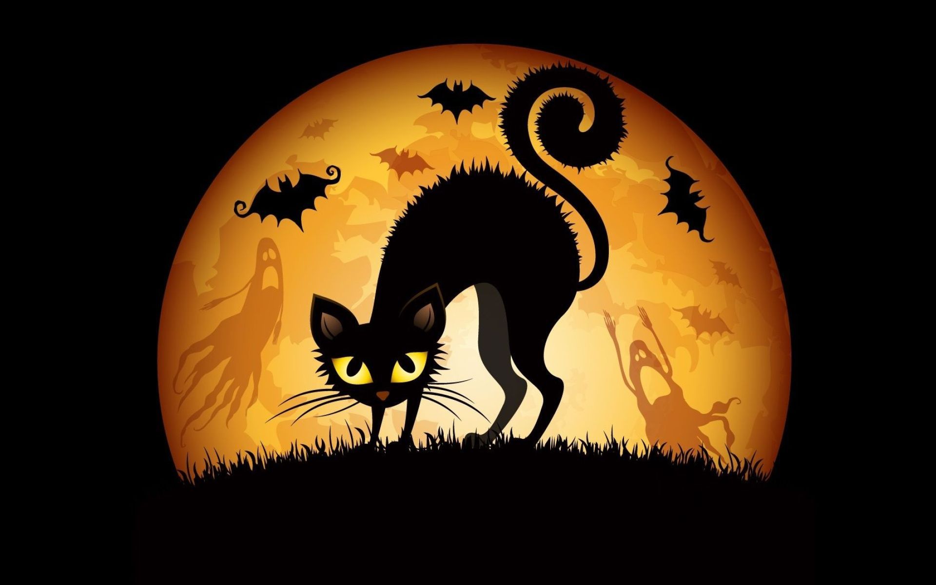 Spooky Cat Wallpapers - Top Free Spooky Cat Backgrounds - WallpaperAccess