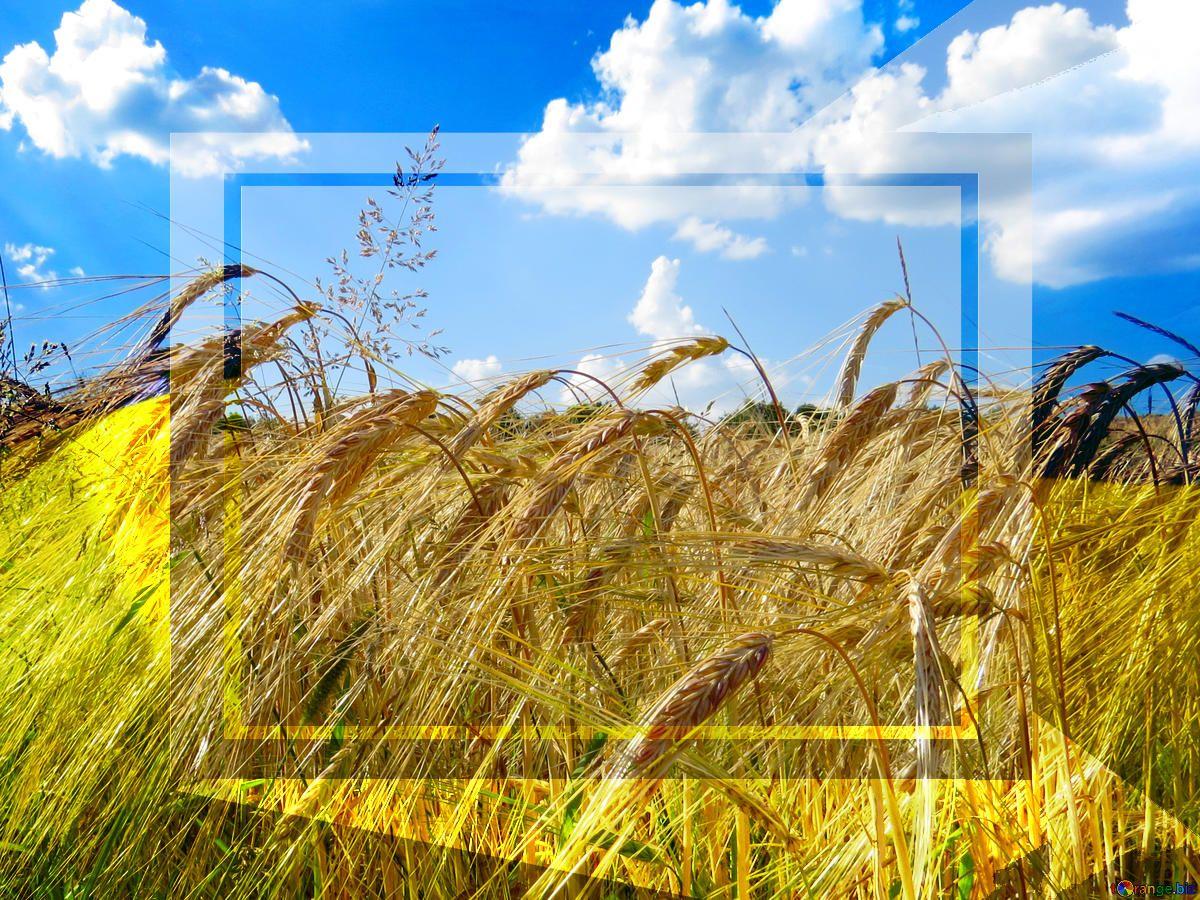 Ukraine Desktop Wallpapers - Top Free Ukraine Desktop Backgrounds ...