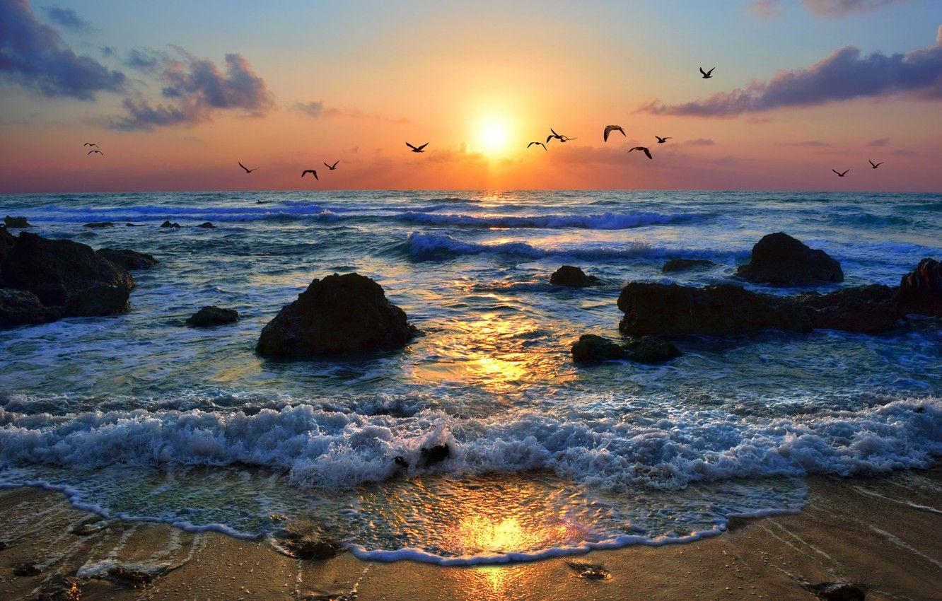 Israel Desktop Wallpapers - Top Free Israel Desktop Backgrounds ...