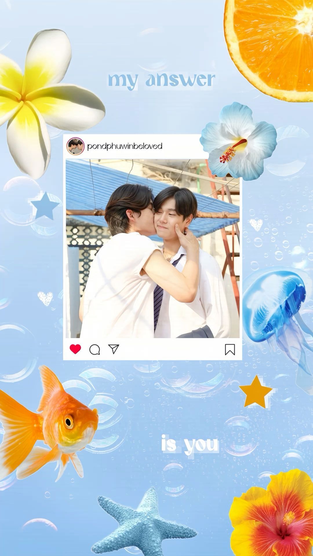 PondPhuwin Wallpapers - Top Free PondPhuwin Backgrounds - WallpaperAccess