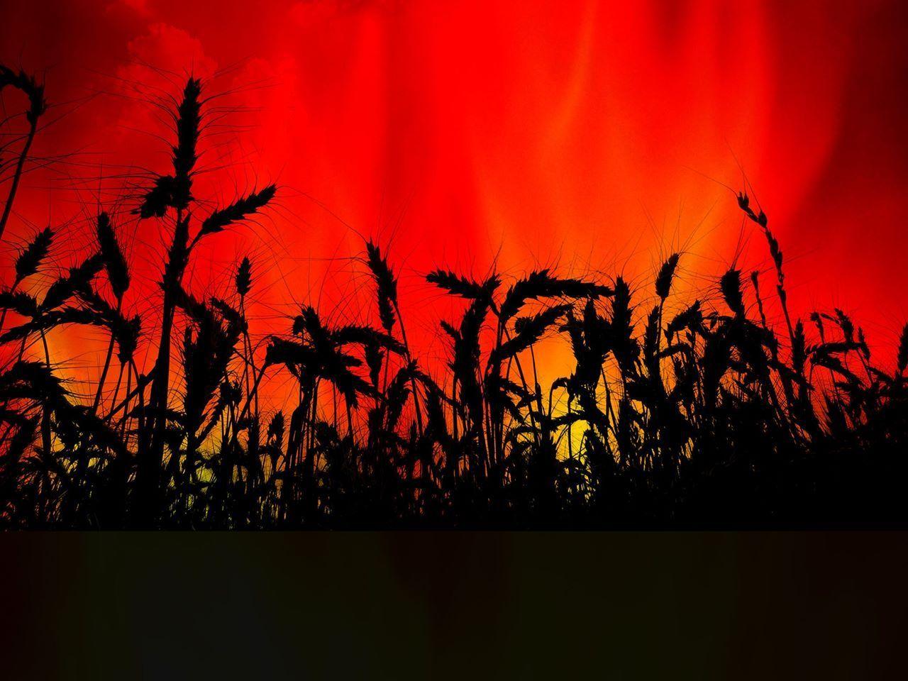 Ukraine Desktop Wallpapers - Top Free Ukraine Desktop Backgrounds ...