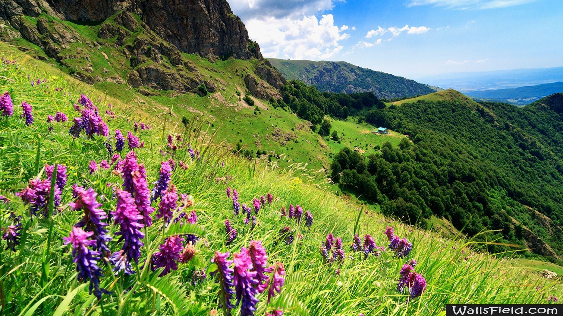Bulgarian Landscape Wallpapers - Top Free Bulgarian Landscape ...