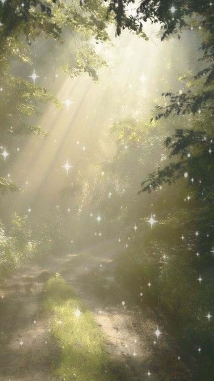 Ethereal Forest Wallpapers - Top Free Ethereal Forest Backgrounds ...