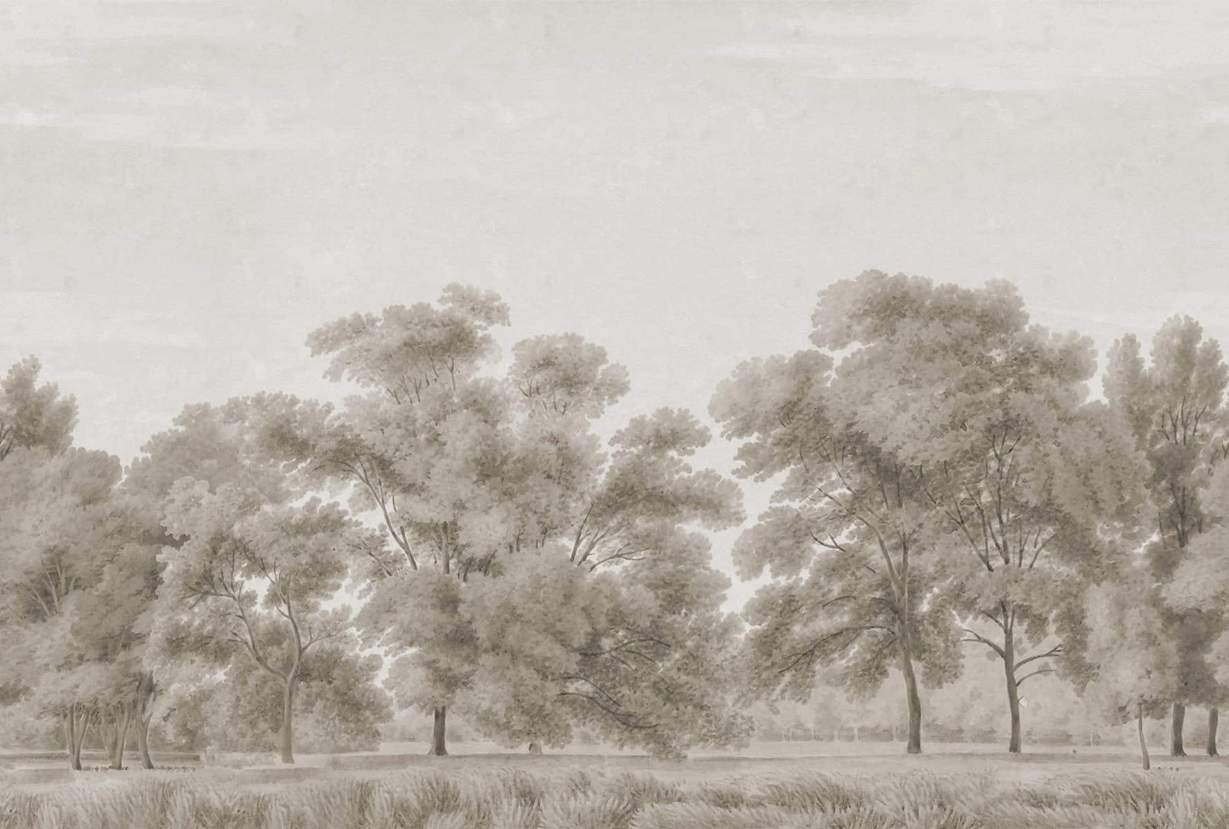 Ethereal Forest Wallpapers - Top Free Ethereal Forest Backgrounds ...