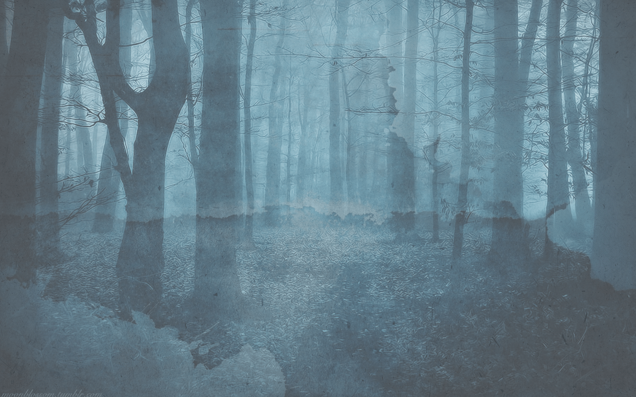 Ethereal Forest Wallpapers - Top Free Ethereal Forest Backgrounds ...