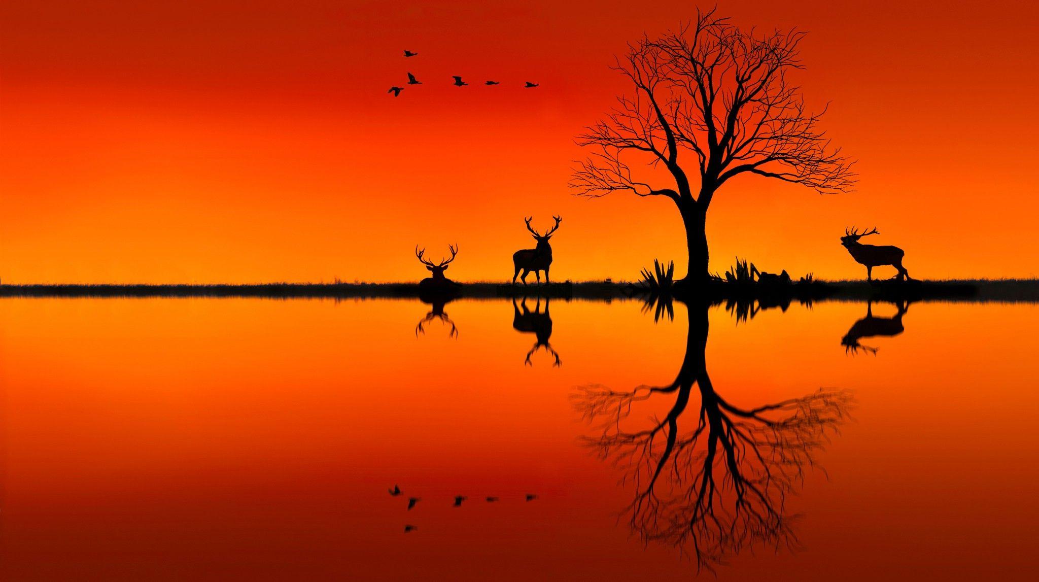 Evening Nature Wallpapers - Top Free Evening Nature Backgrounds ...