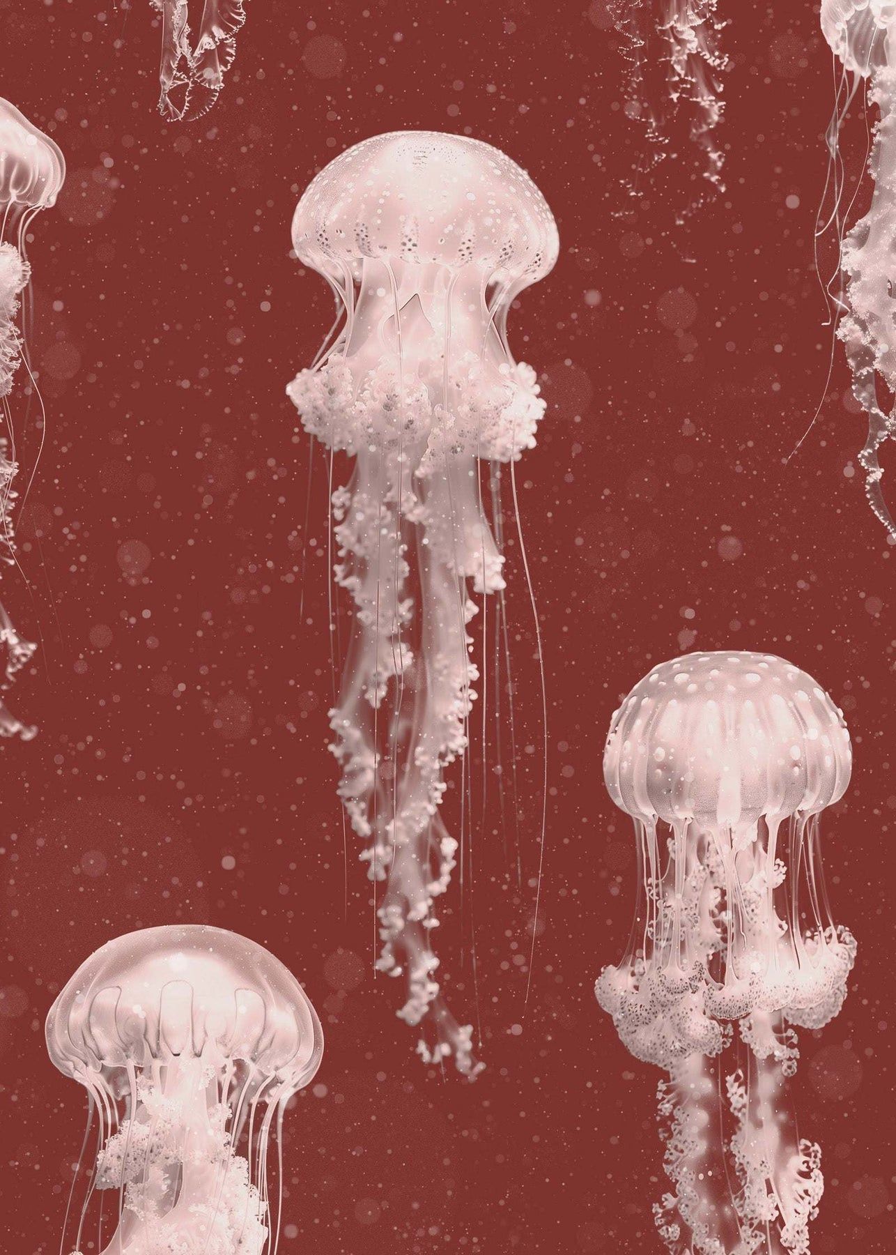 Red Jellyfish Wallpapers - Top Free Red Jellyfish Backgrounds ...