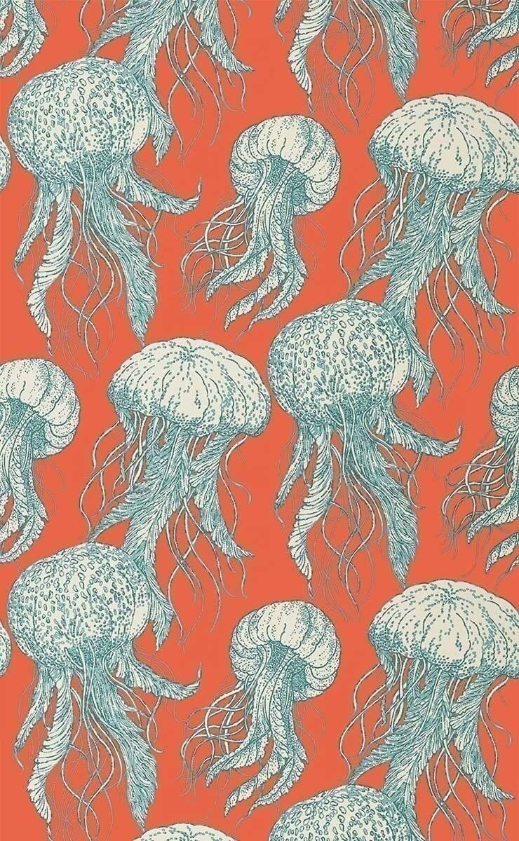 Red Jellyfish Wallpapers - Top Free Red Jellyfish Backgrounds ...