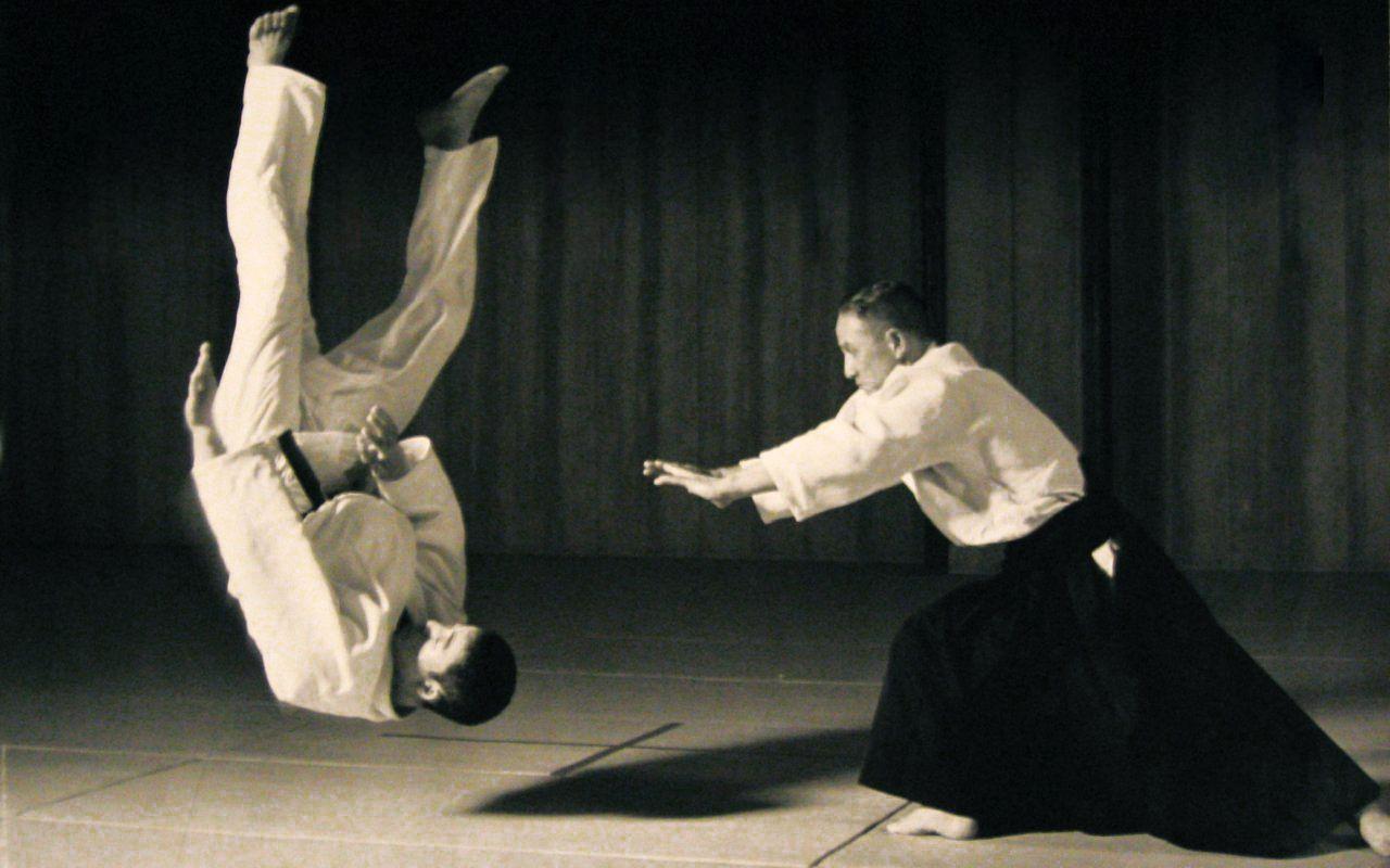 Aikido Wallpapers - Top Free Aikido Backgrounds - WallpaperAccess